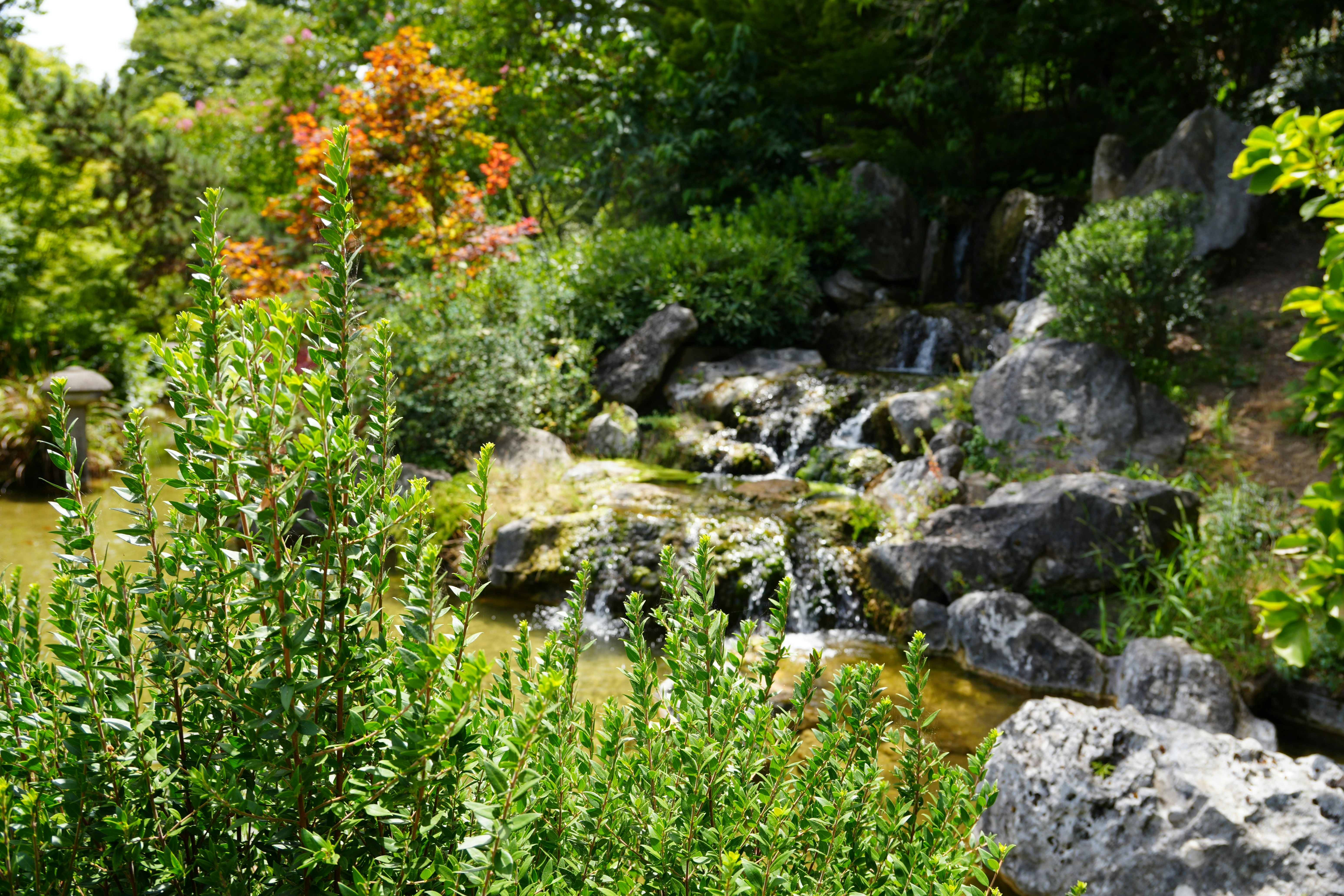 Whispering Stream Through Mossy Rocks and Greenery
