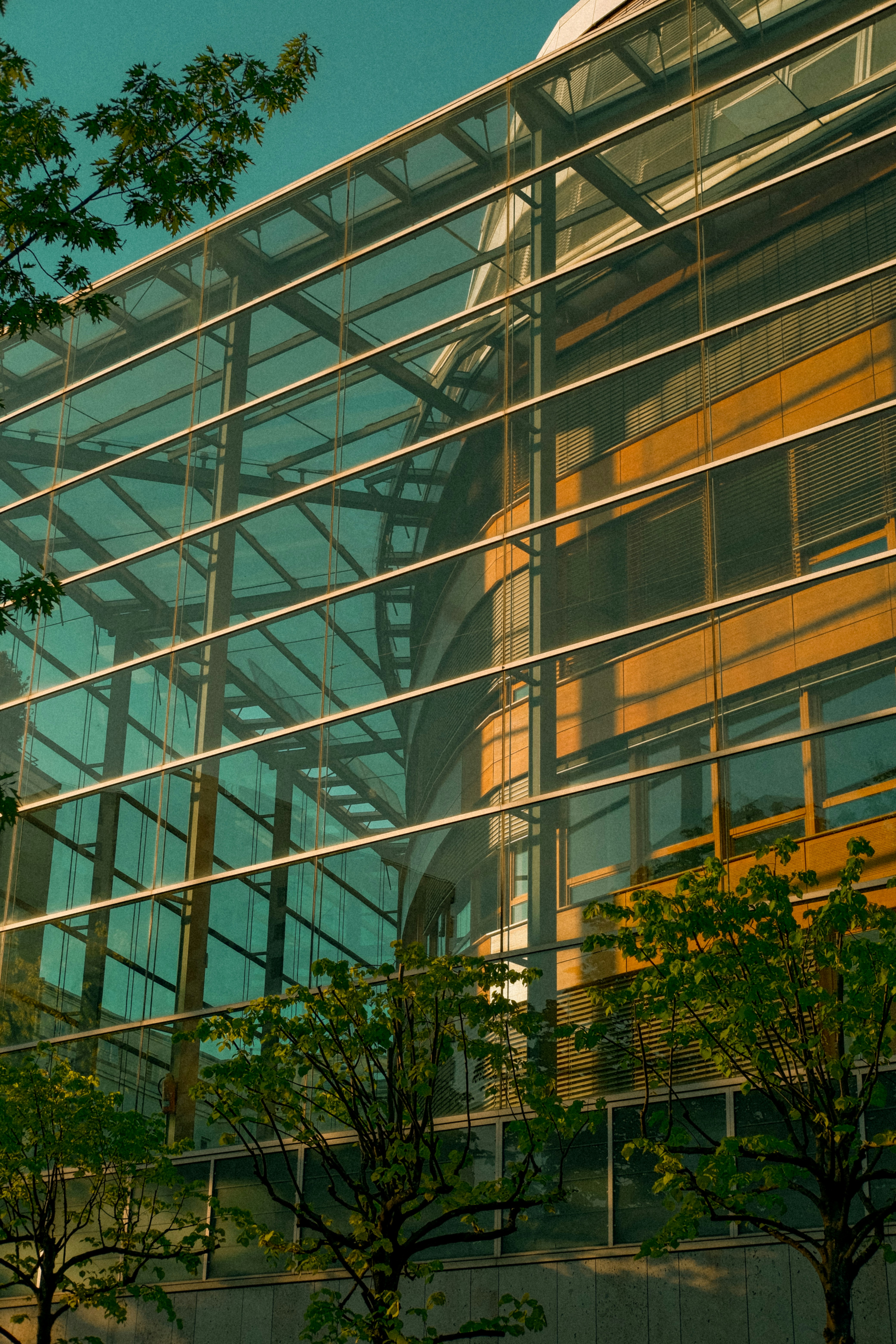 Glass Facade Echoes: A Geometric City Portrait