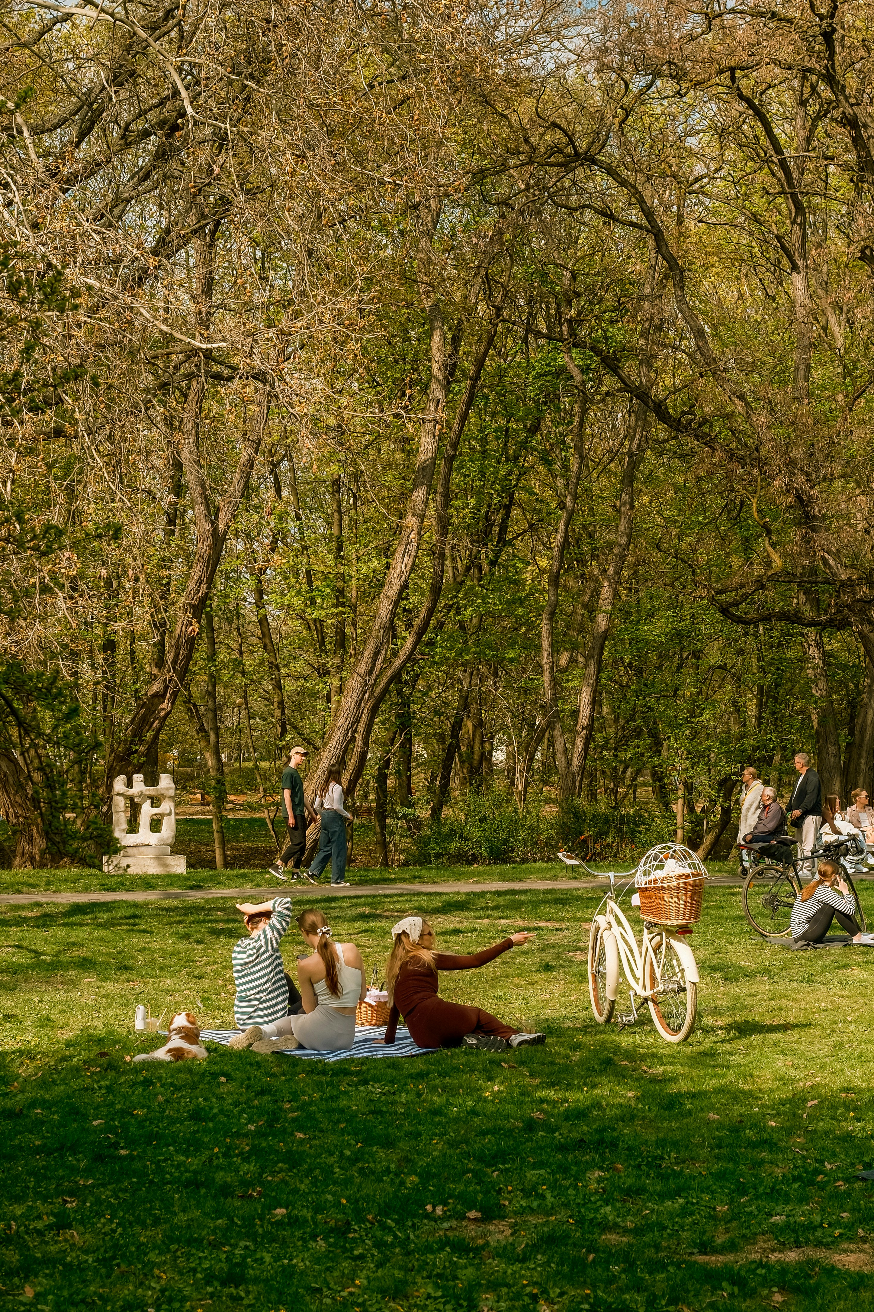 Sunlit Picnic in a Spring Riverside Park