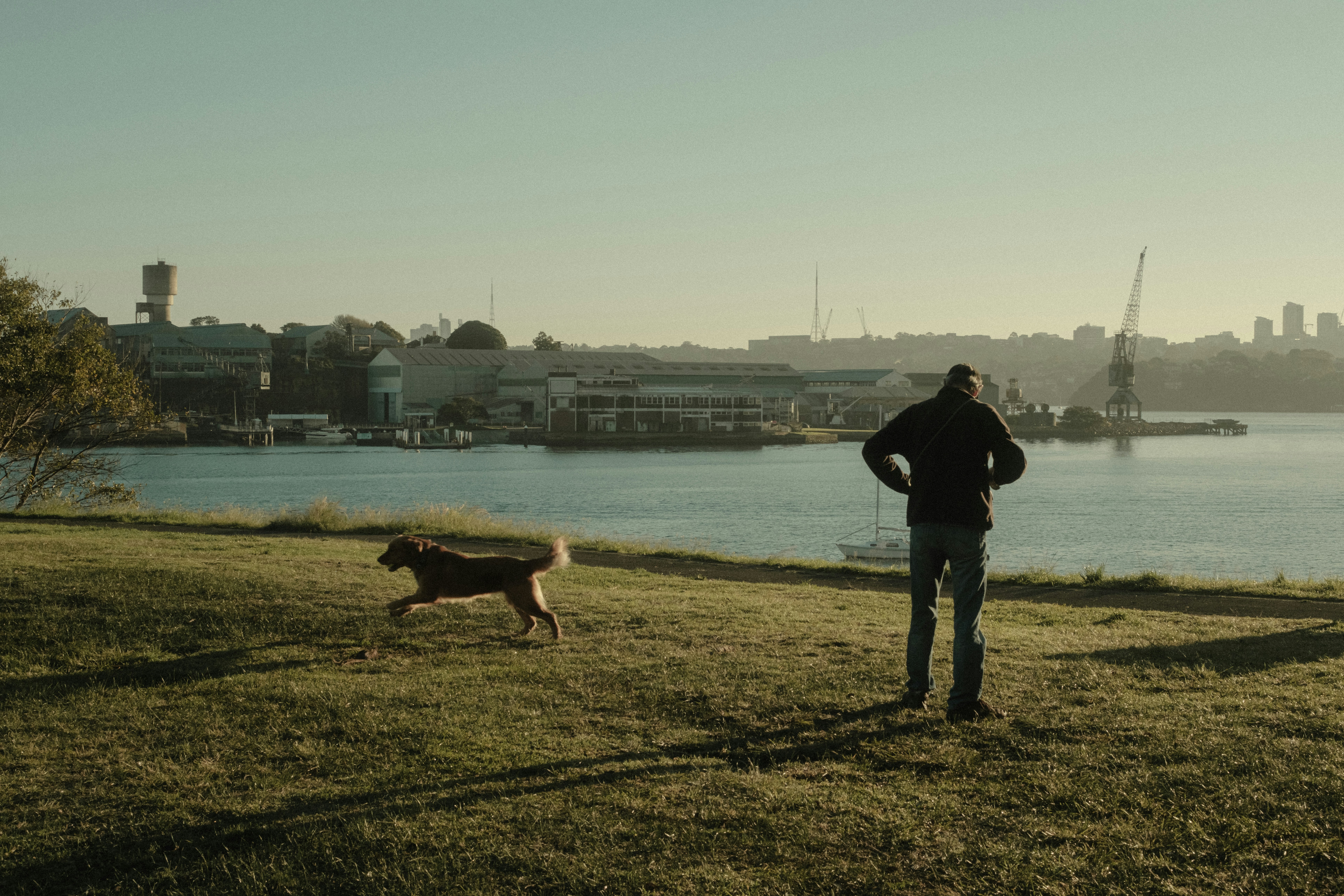 A Quiet Shore Walk: Man and Dog Beneath a Distant City