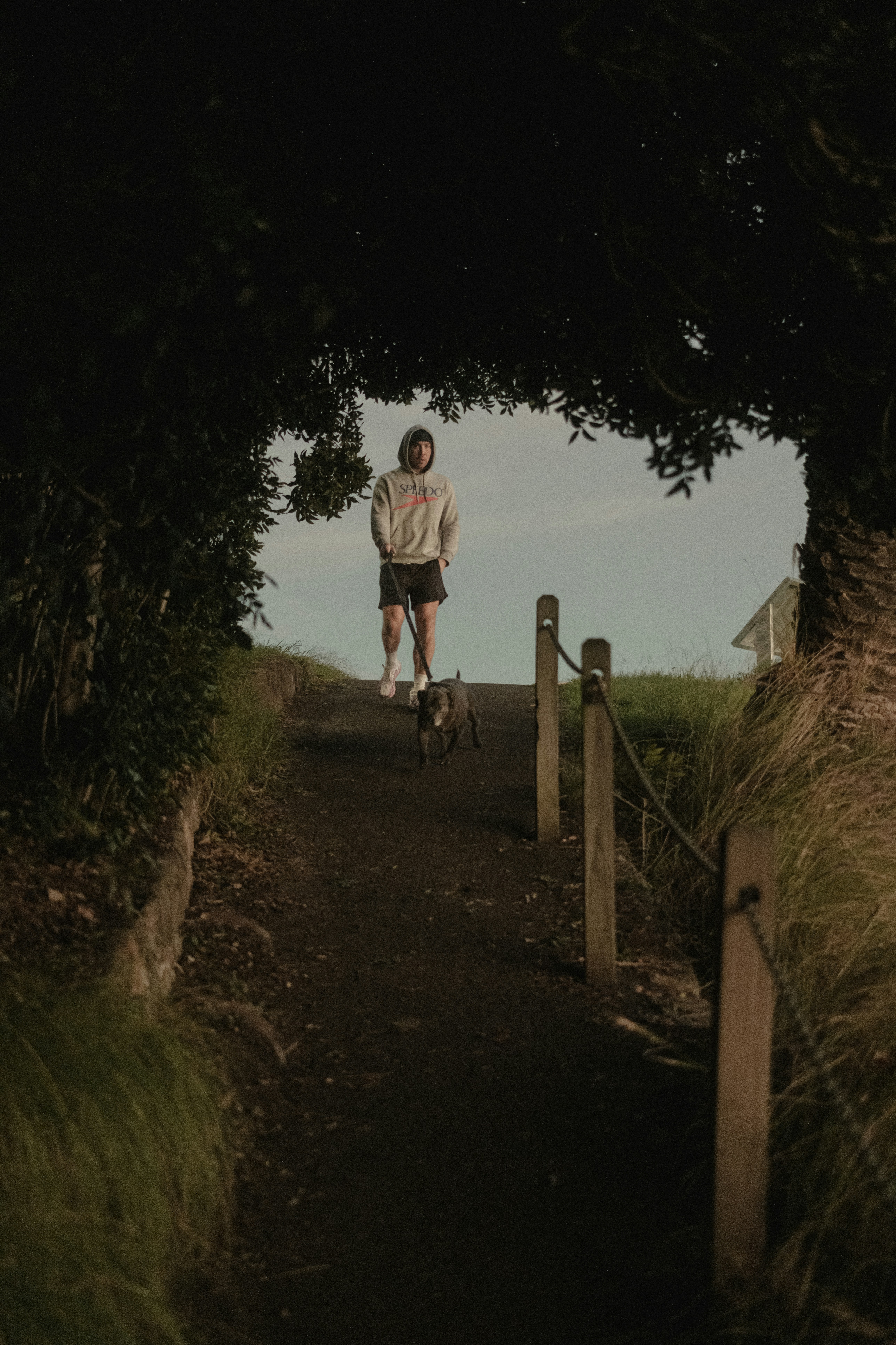 Trailway Quiet: A Hoodie, a Dog, and the Distant House