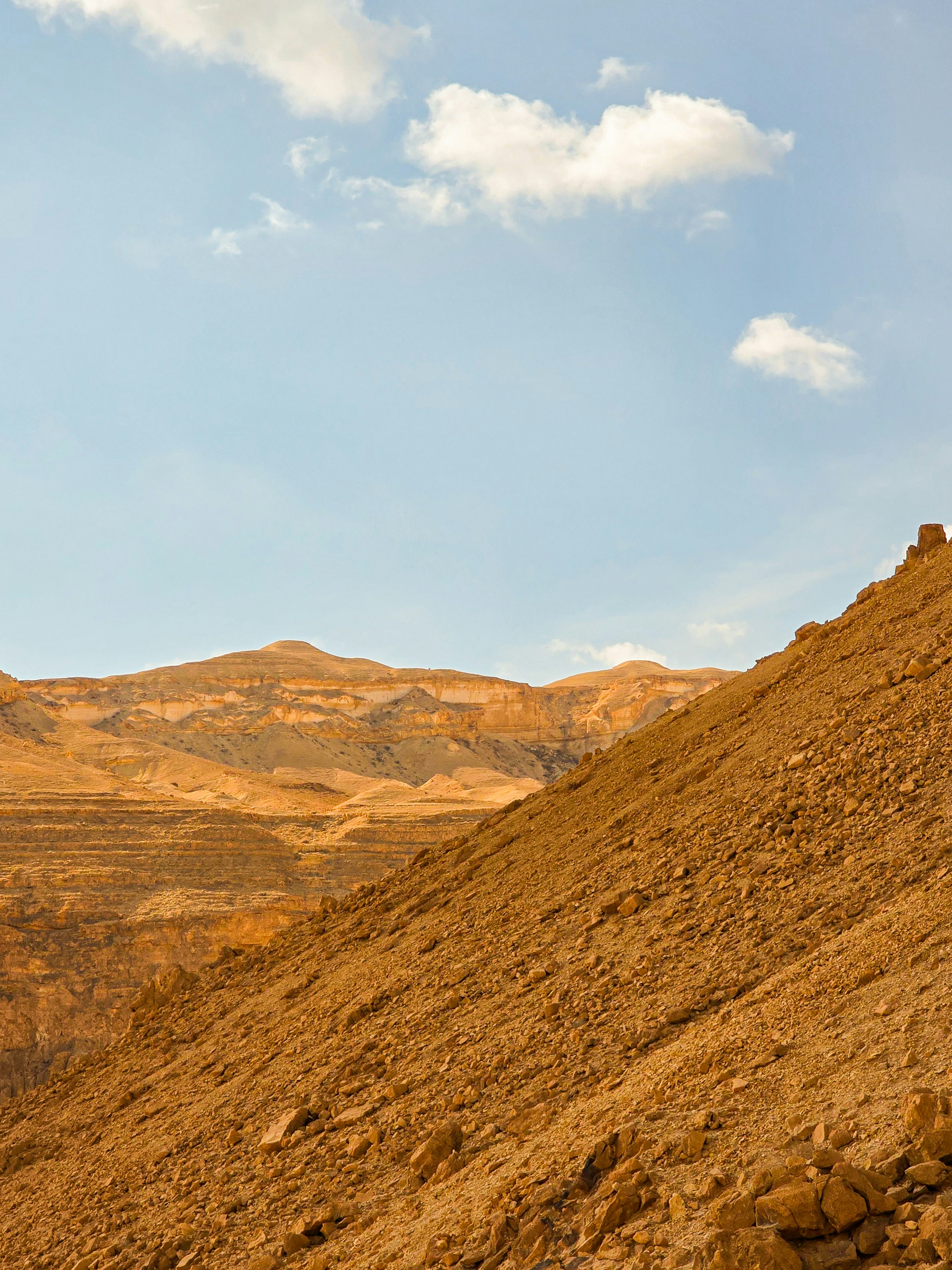 Golden Ridge: Desert Light on Slope