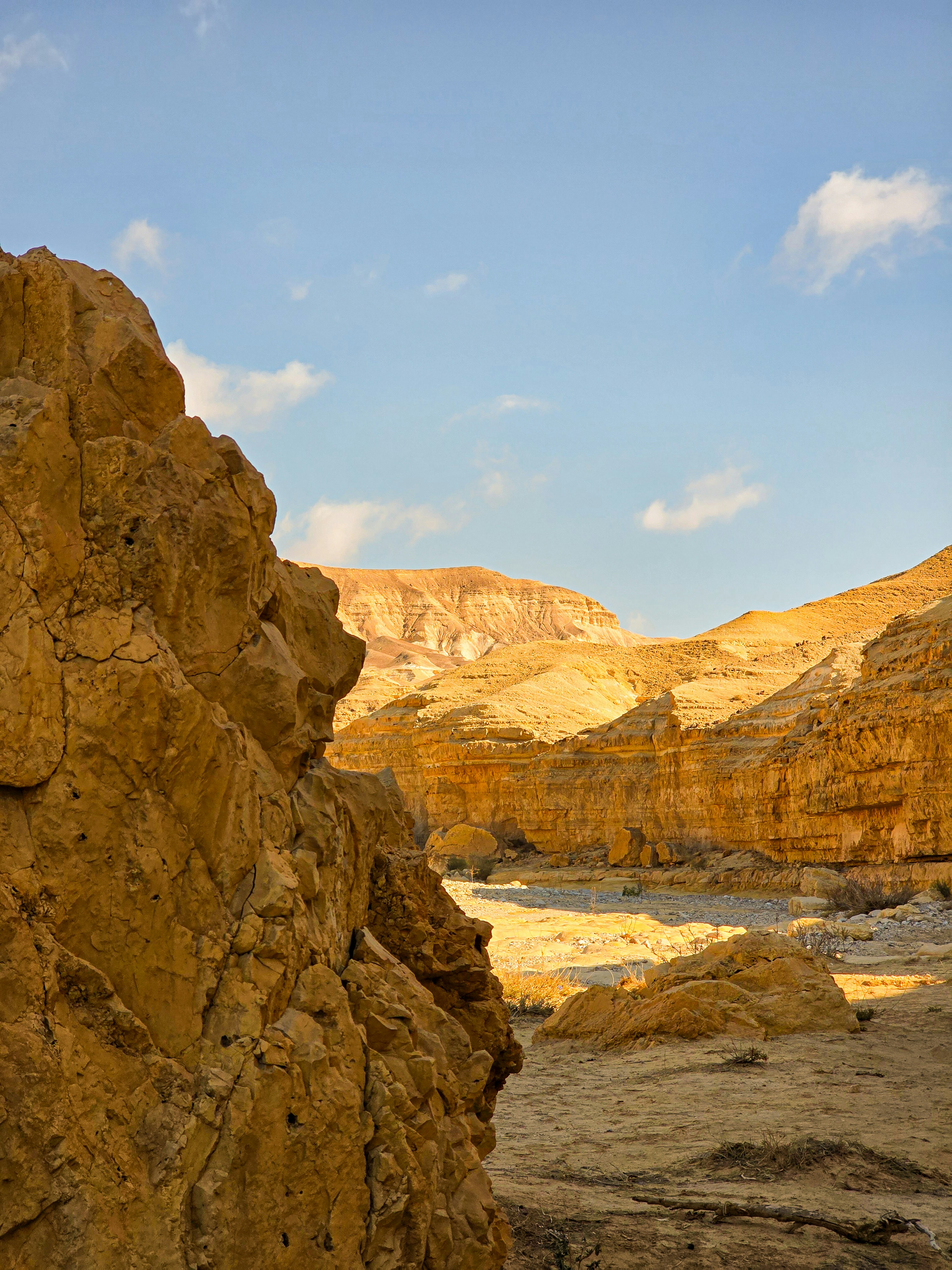 Desert Cathedral: Golden Cliffs Frame a Quiet Gorge