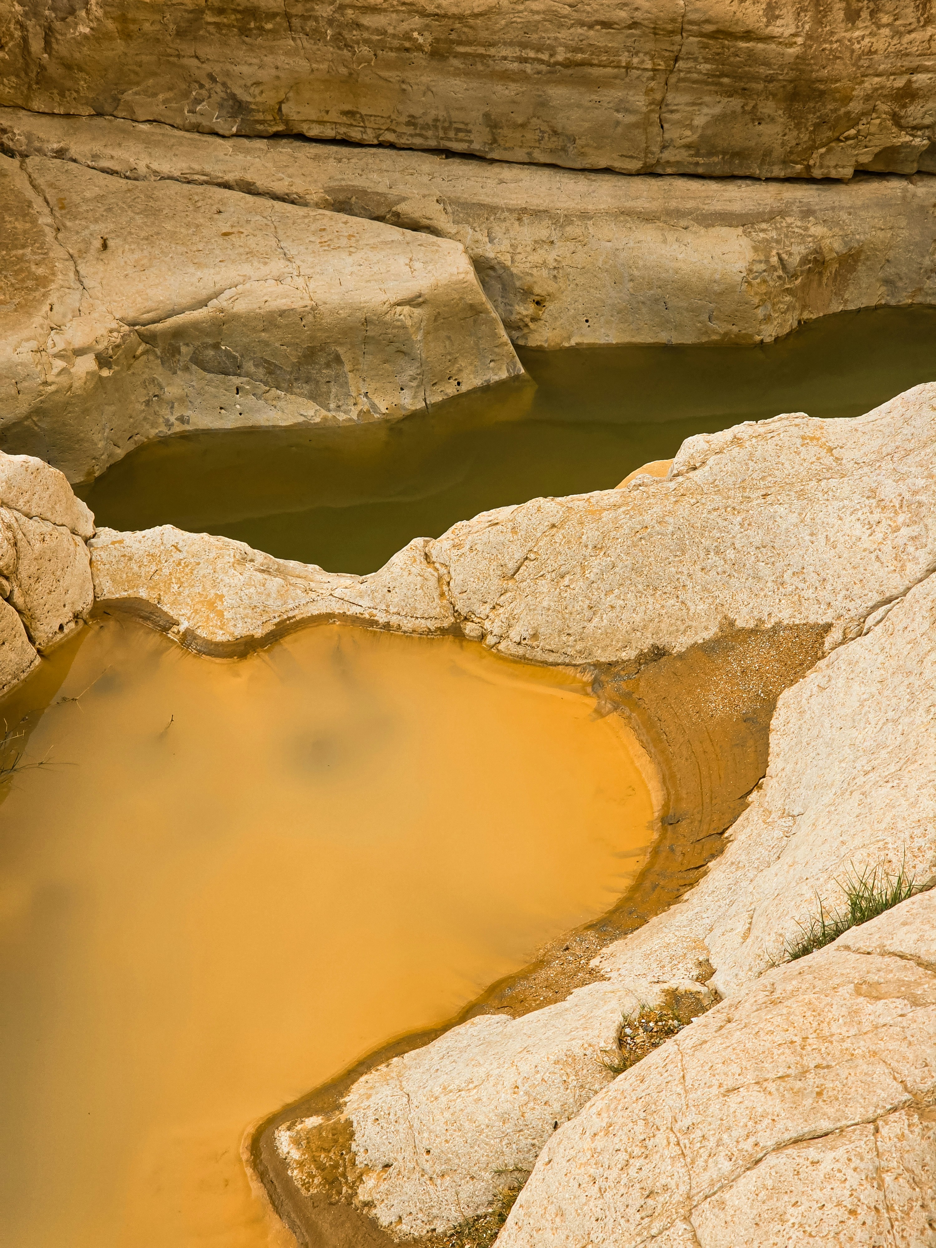 Amber Pools among Weathered Granite