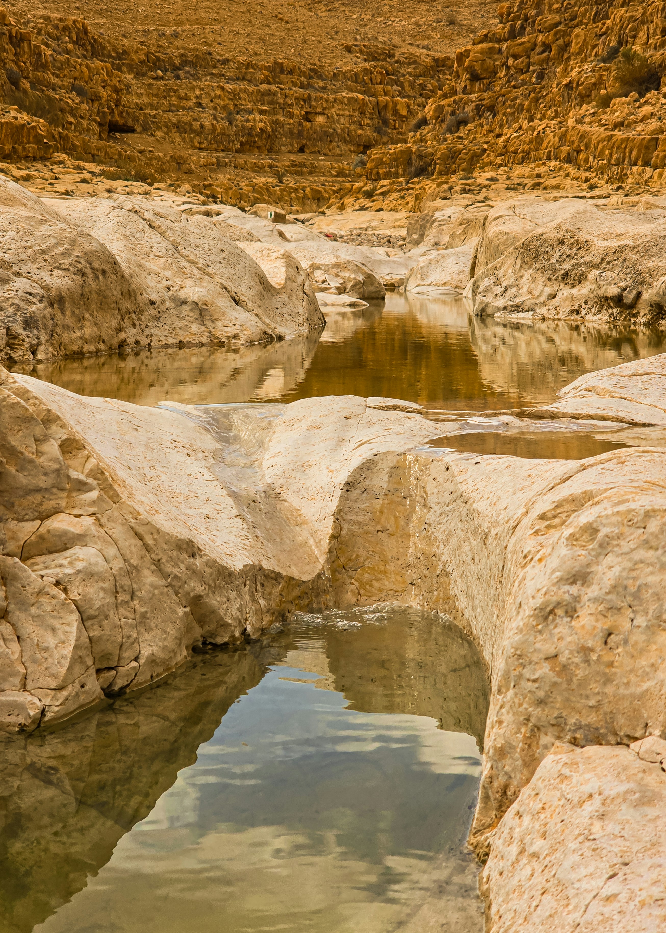 Desert Echoes: A Quiet Channel Between Stone Carved Valleys