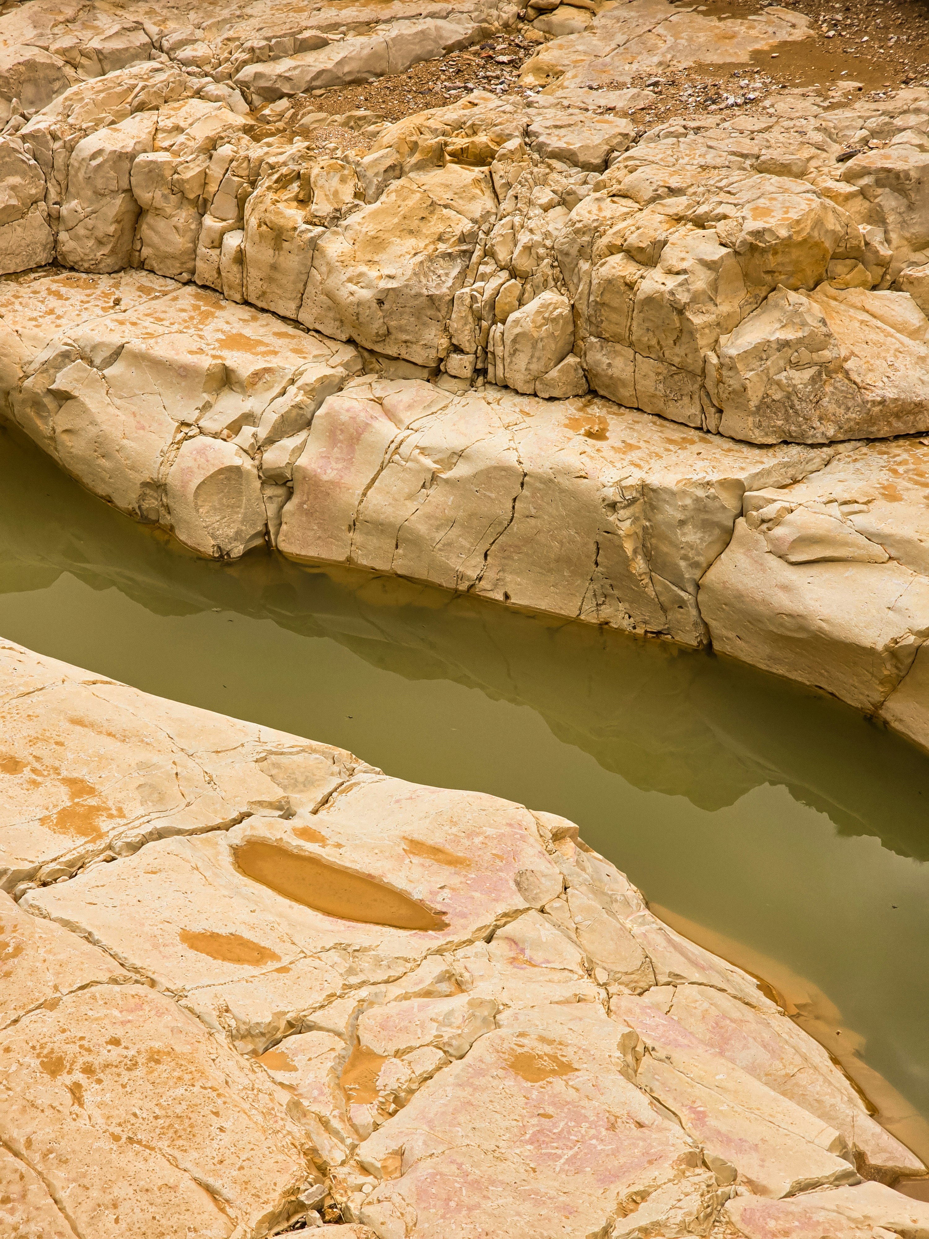 Desert Limestone Channel: Quiet River of Stone