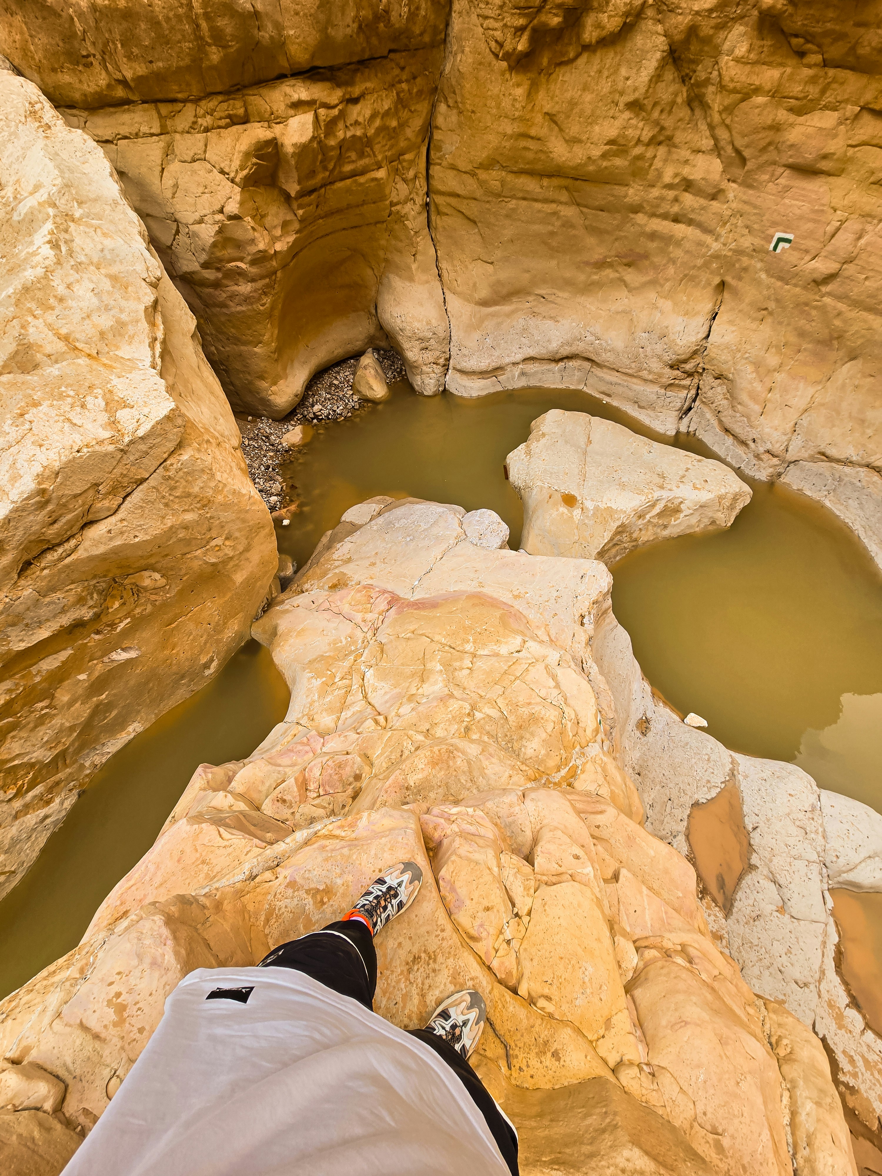 Leap of Edge: A First-Step Dawn at Desert Ravine