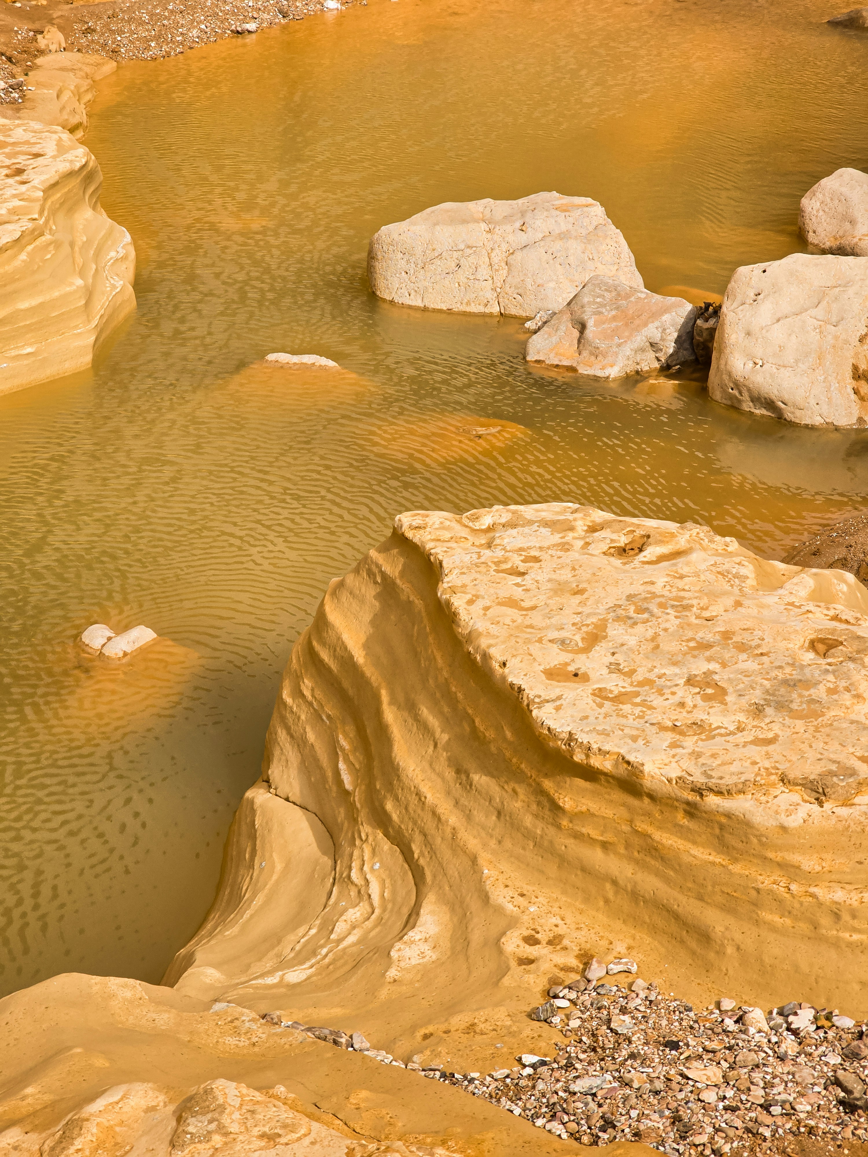 Sculpted Sandstone by the River’s Edge