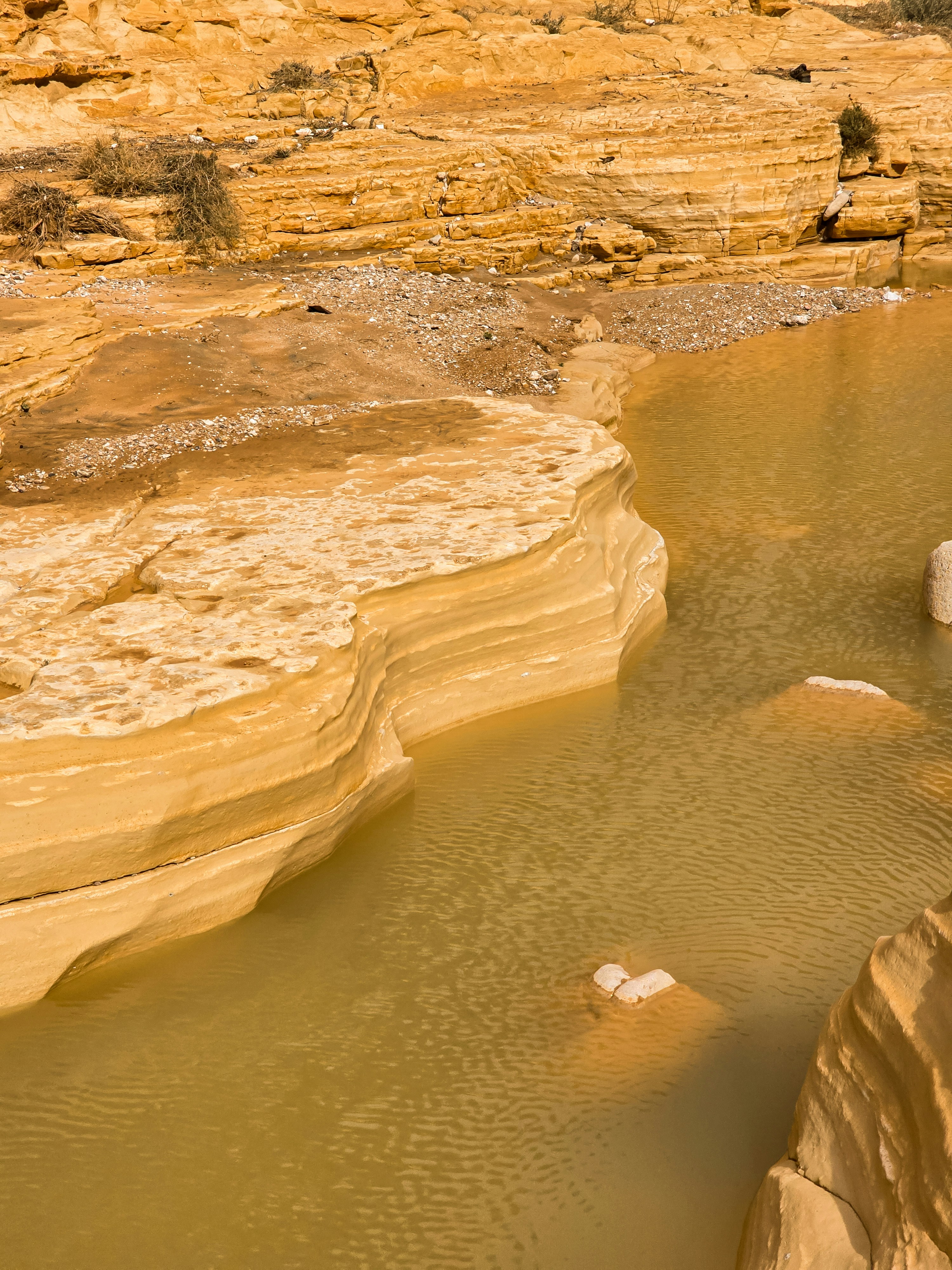 Layered Echoes: Golden Clifflines Meet Quiet Waters