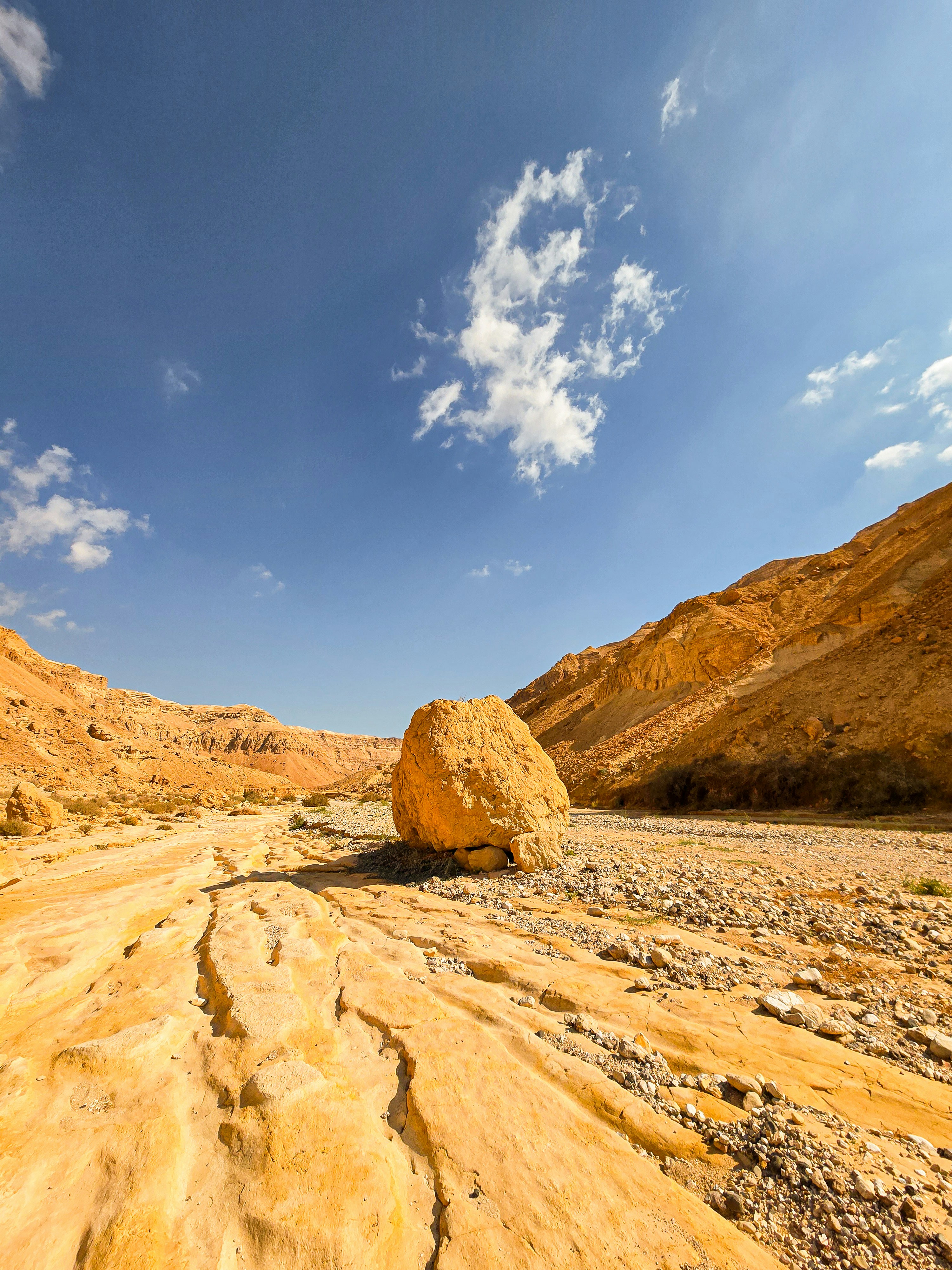 Desert Sentinel: A Boulder Guarding the Golden Canyon