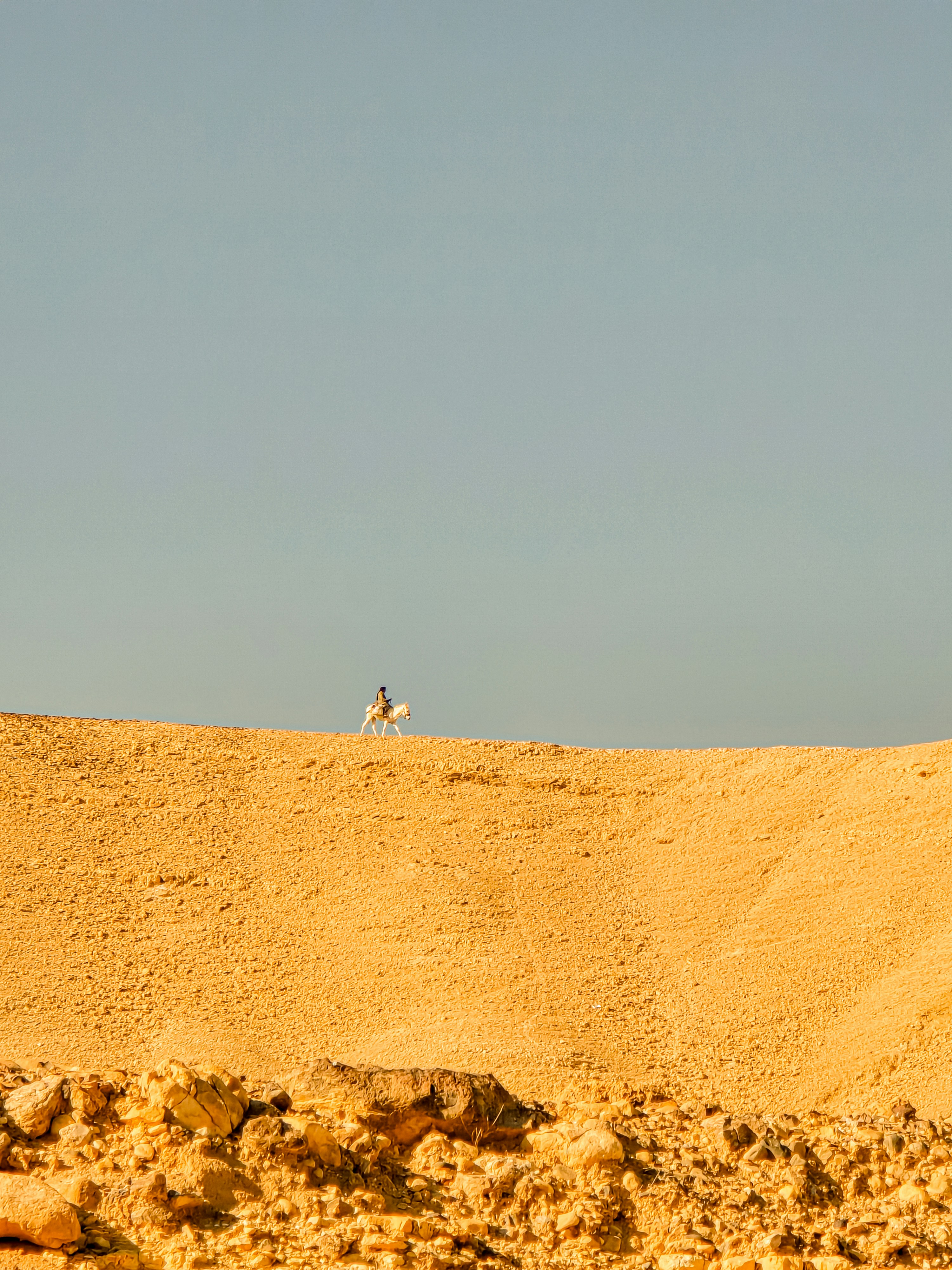 Camel Rider on the Golden Crest