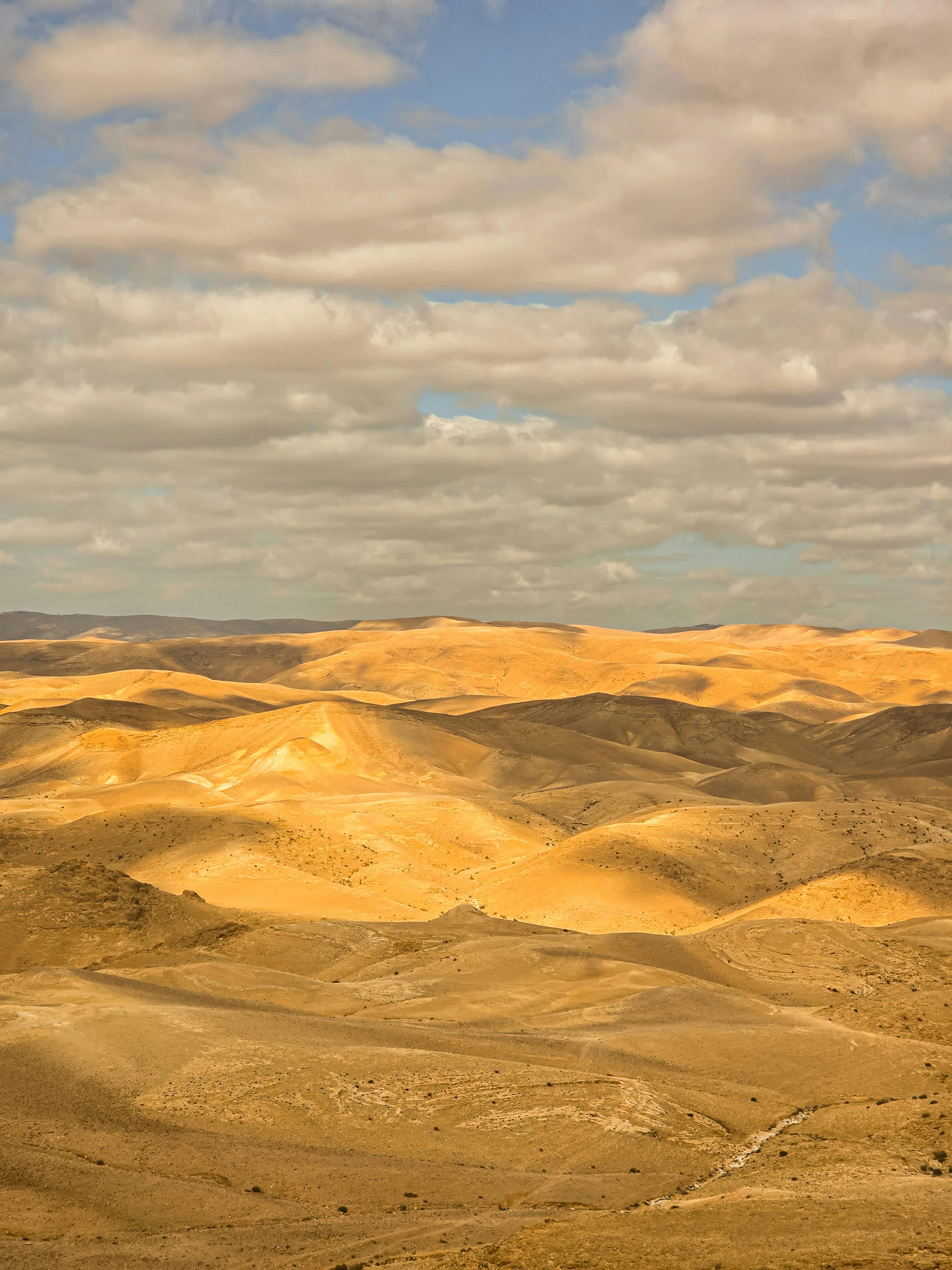 Golden Dunes under a Quiet Sky