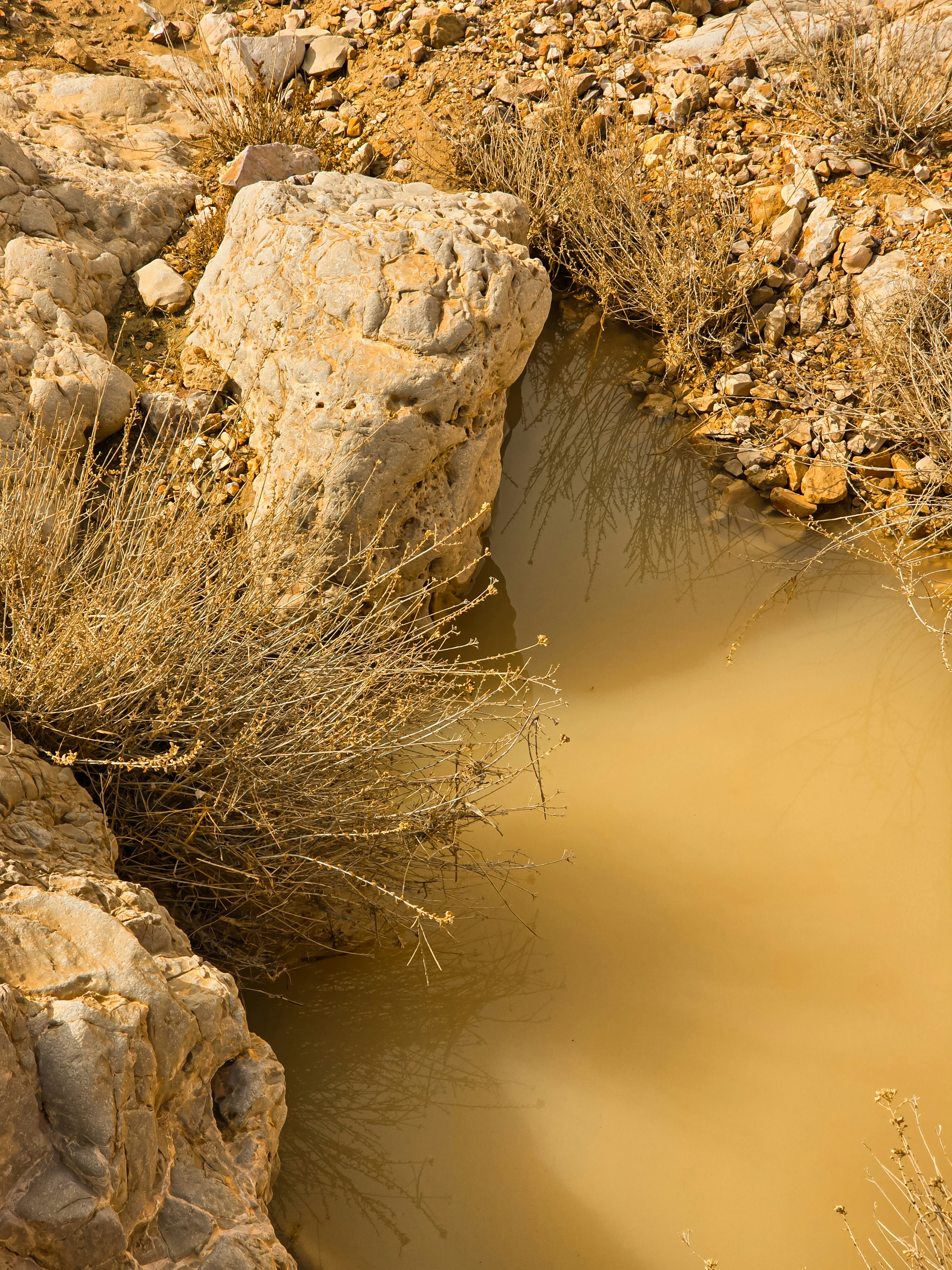 Desert Quarry with Tinted Pool and Sunlit Rocks