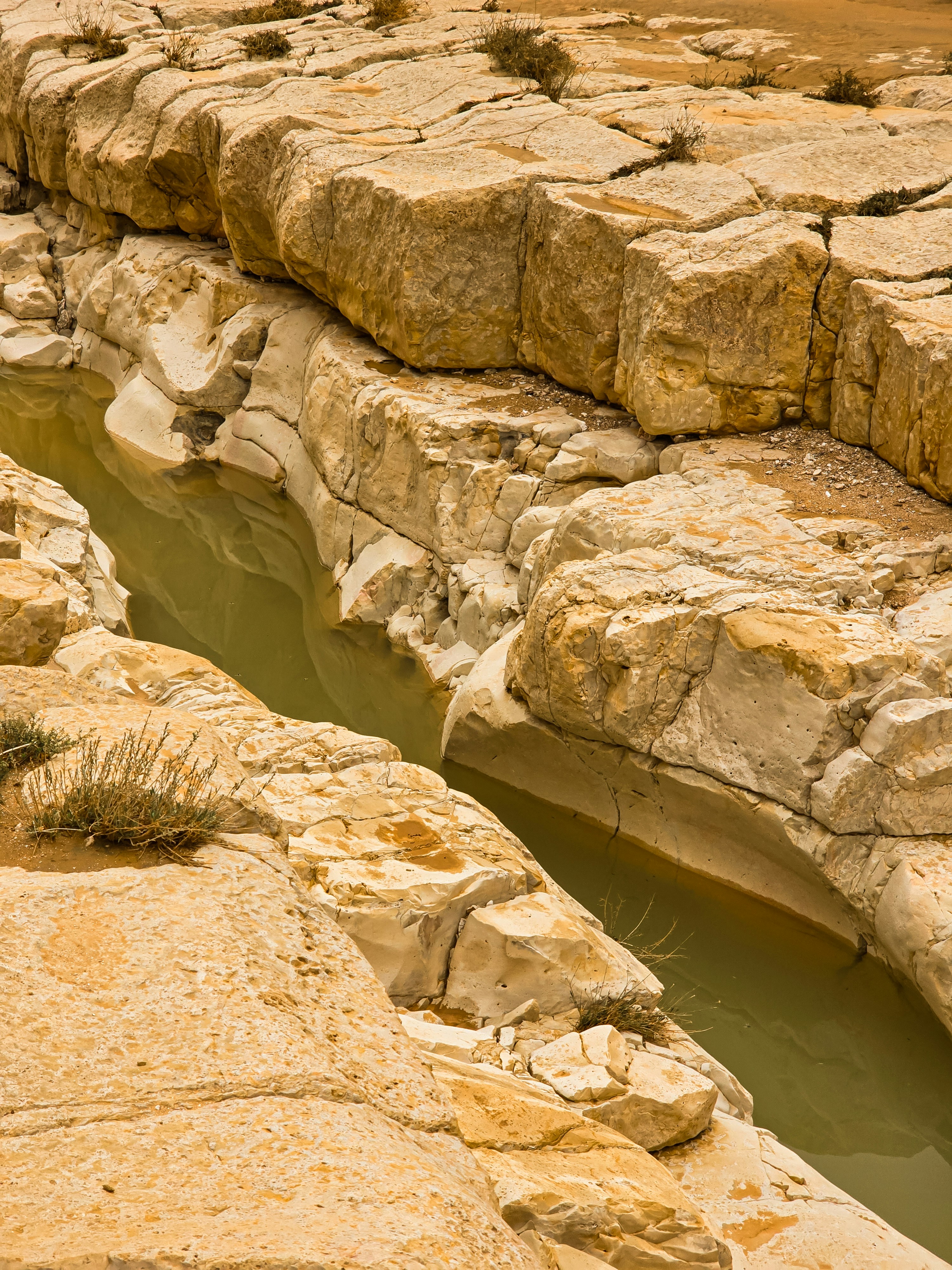 Sunlit Canyon Gorges: Drift of Golden Rock and Quiet Water