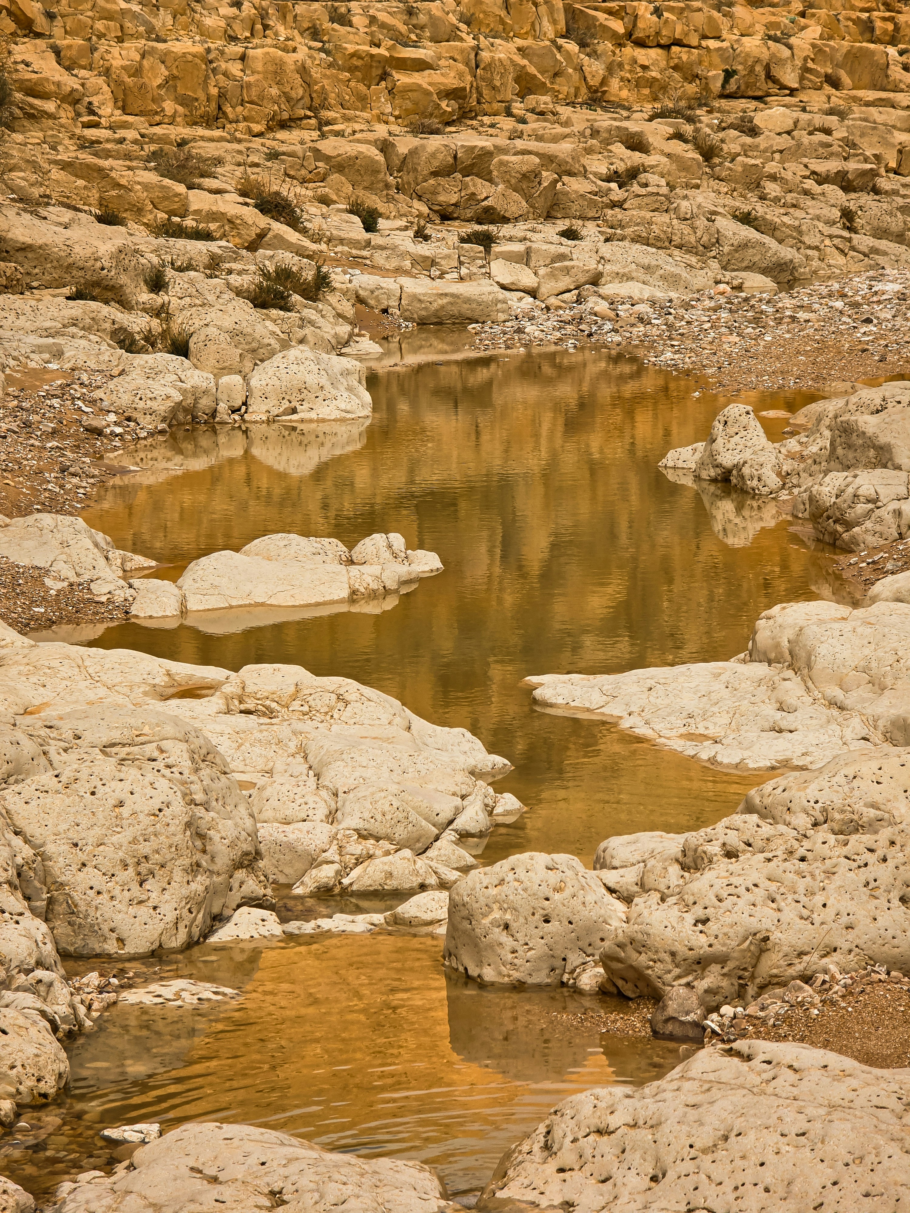Desert Stone Stream: A Quiet Corridor of Sunlit Tones
