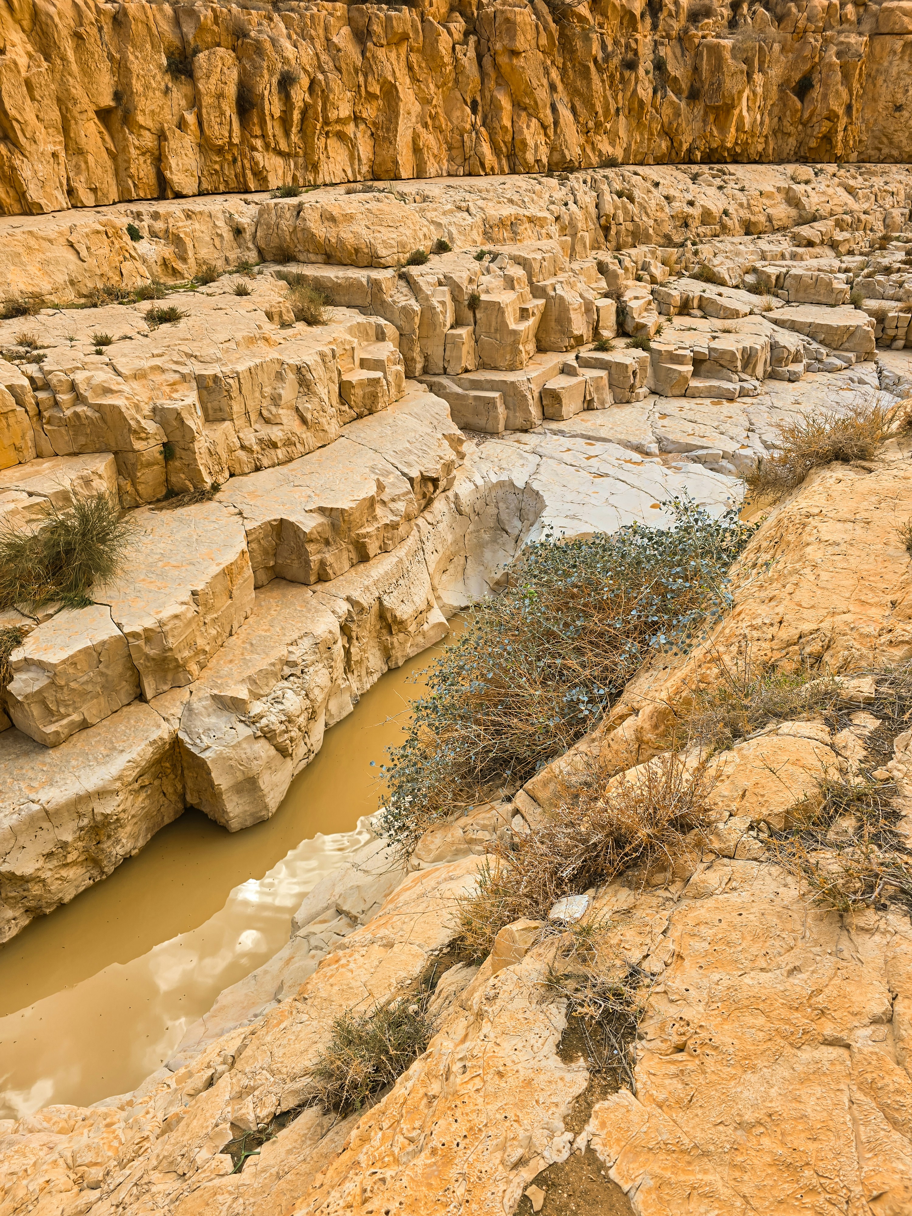 Desert Staircase: Weathered Limestone Steps by a Narrow Channel