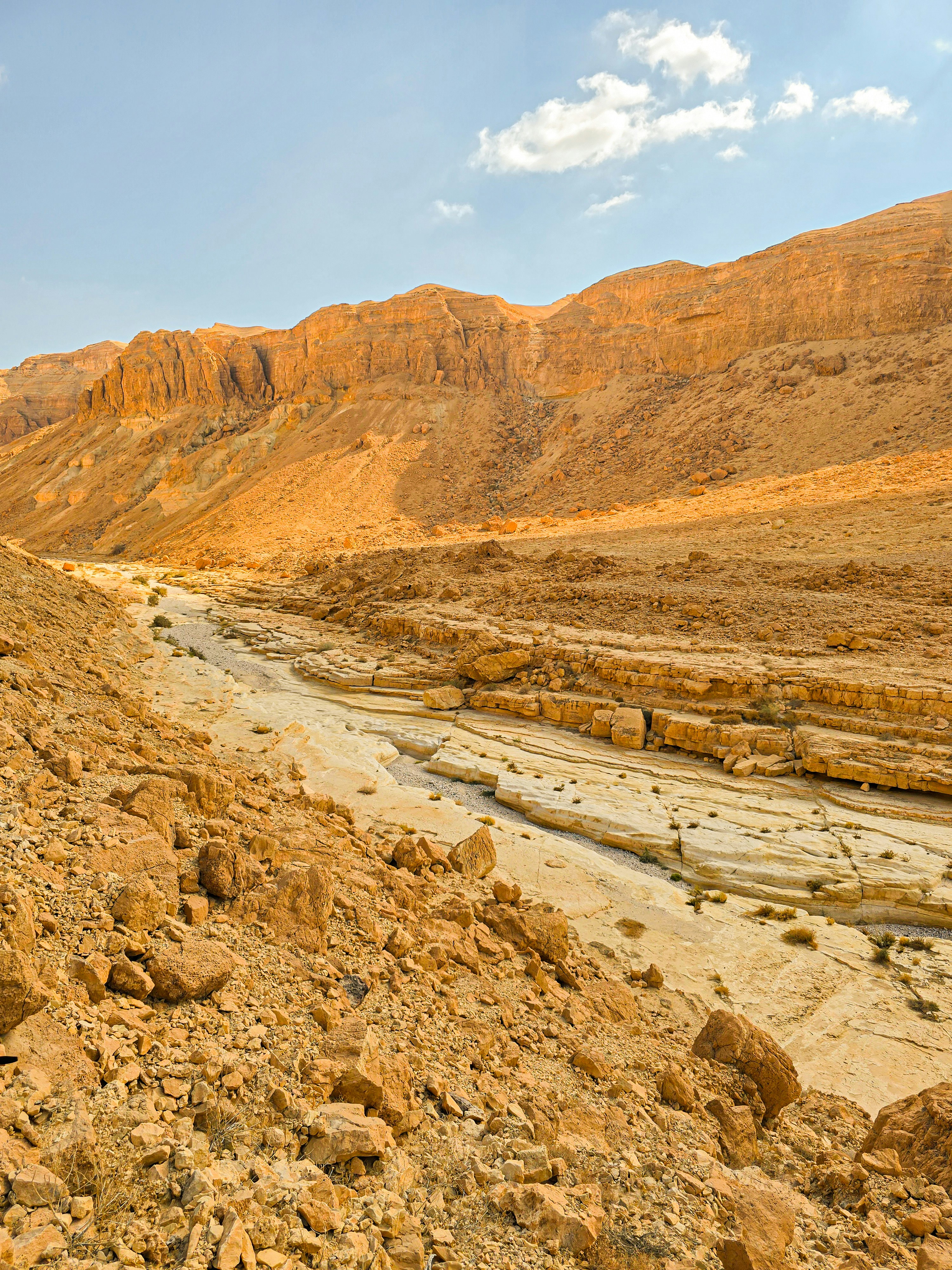 Desert Gullies at Dusk: Weathered sandstone extracting light