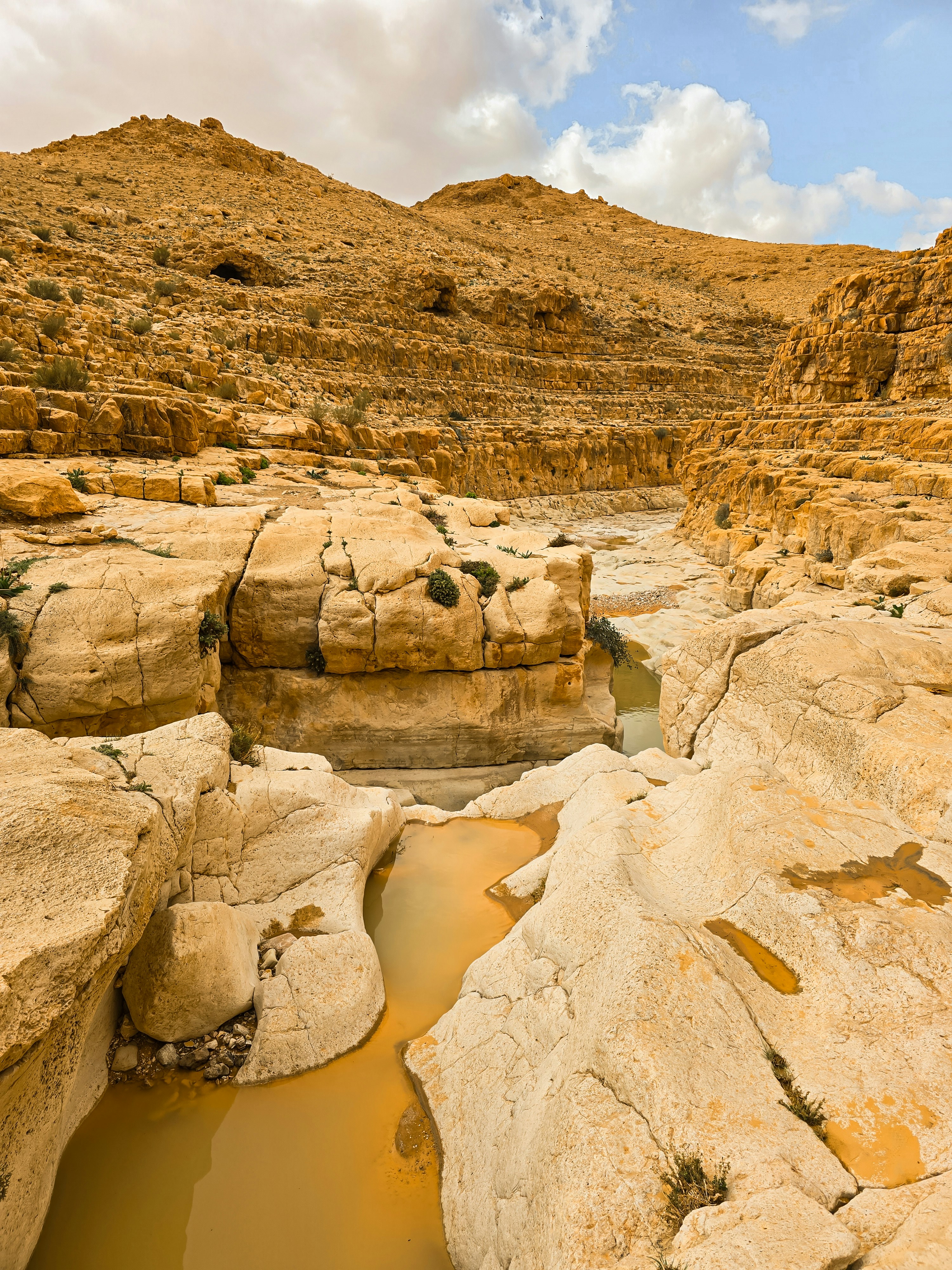 Desert Channel Carved by Time: Golden Rocks and Narrow Watercourses