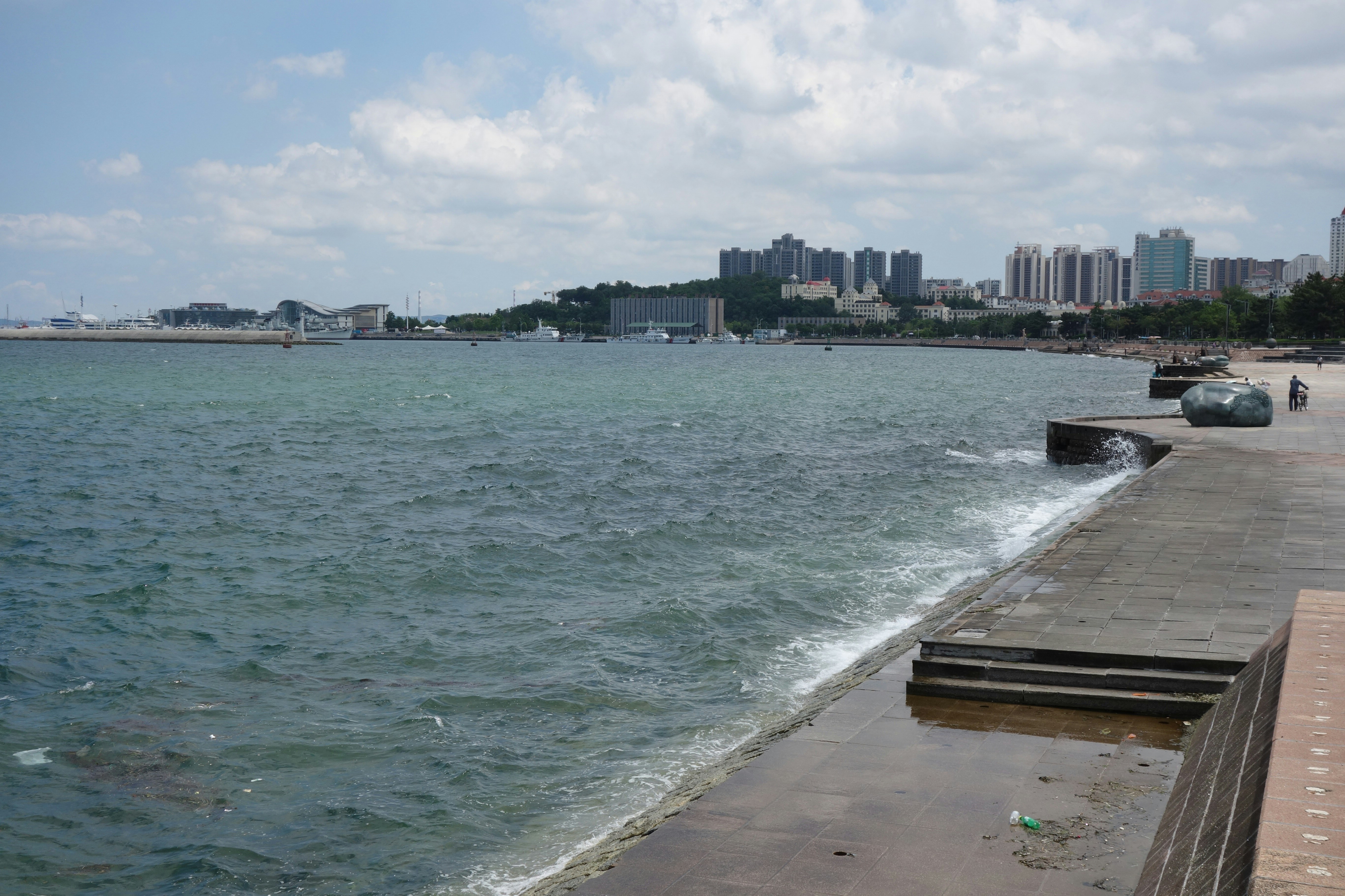 Harbor Promenade: Coastal Calm with City Skyline