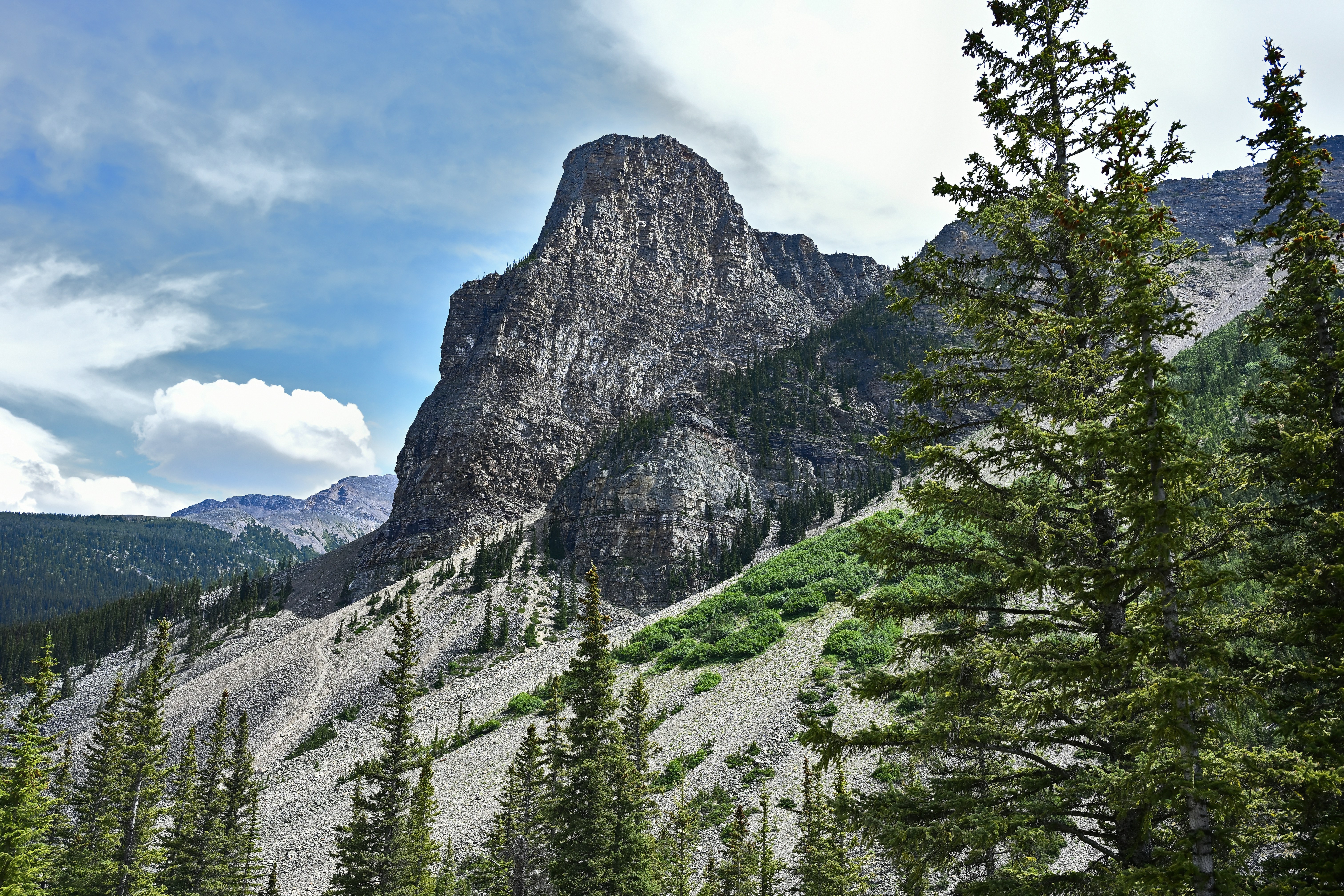 Peak Sentinel Overlook: Jagged Summit and Pine Sweep
