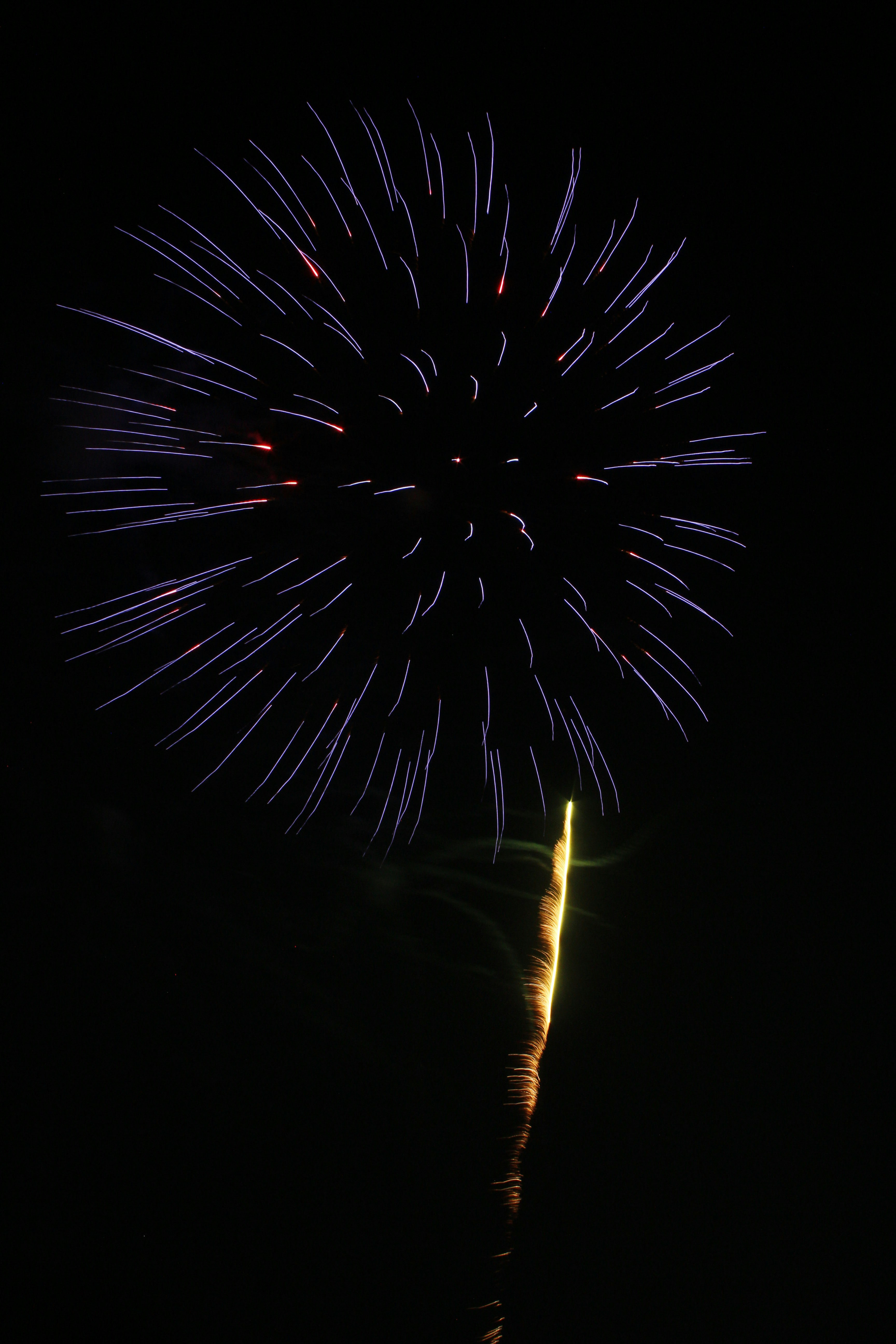 Burst of Night Colors: A Firework Bloom Over a Narrow Trail