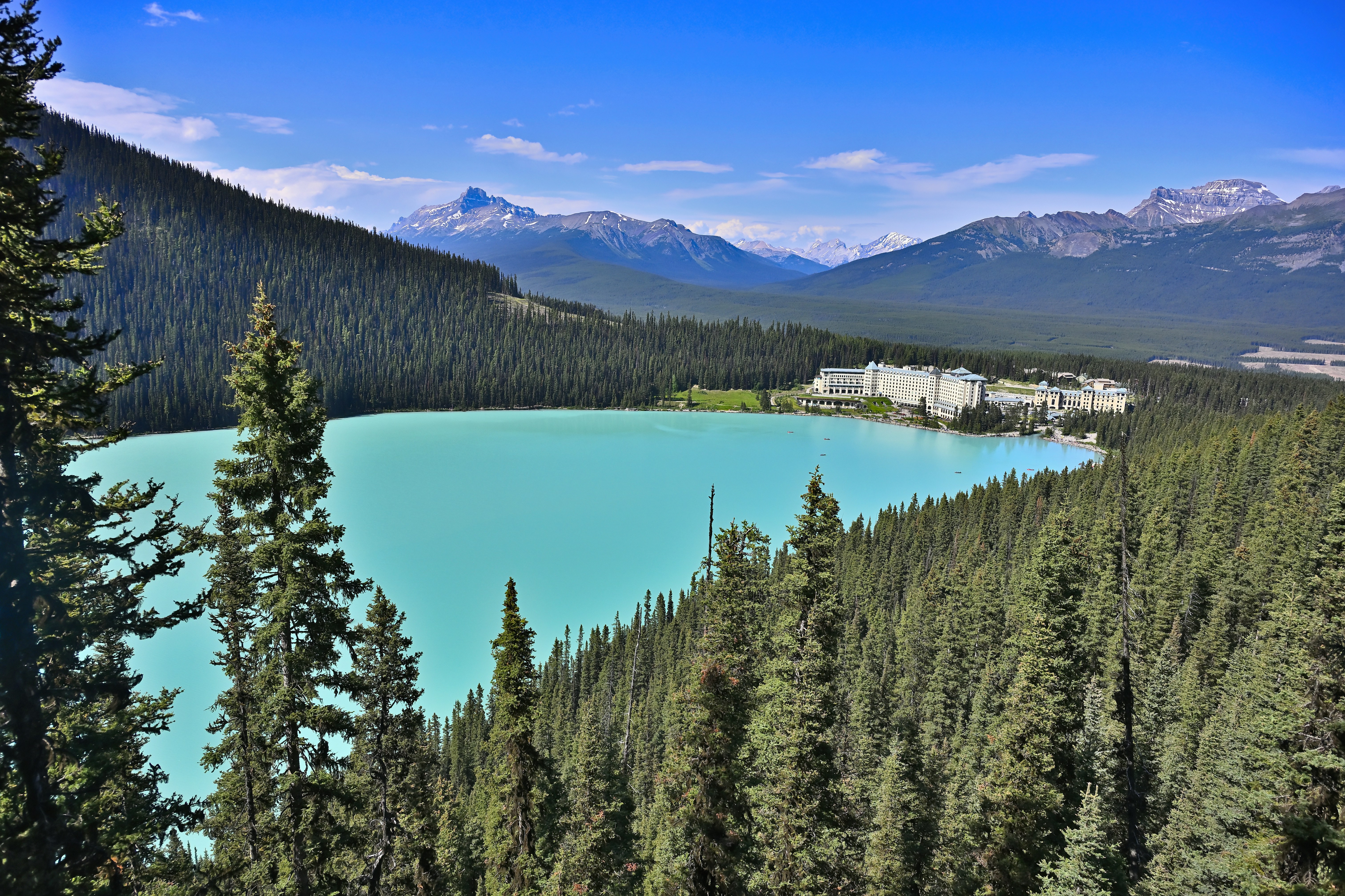Glacial Teal Mirror: Lake Louise-like Emerald Within Pine‑Carved Rim