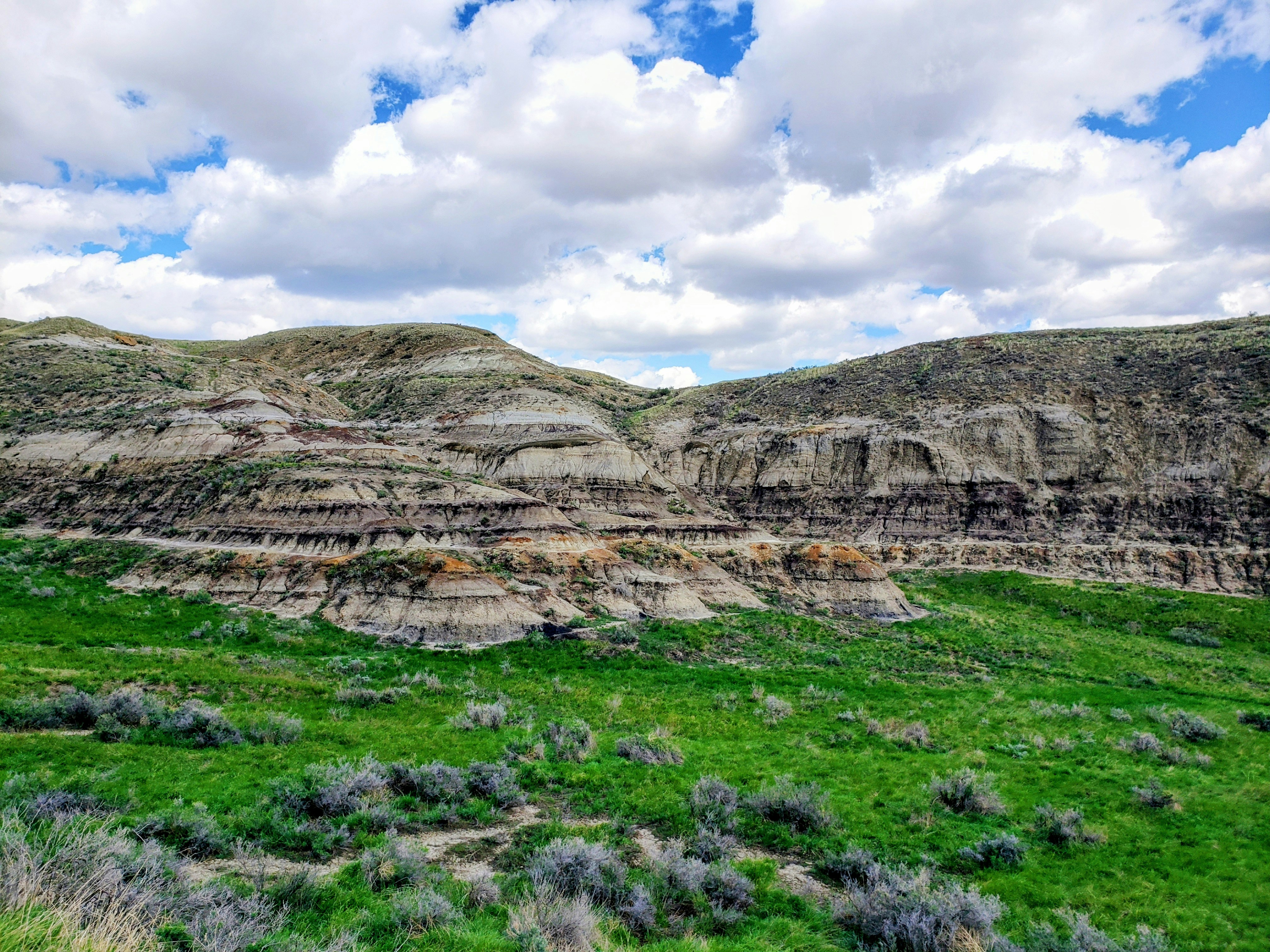 Layered Cliffs and Velvet Green: A Prairie Vestige Under a Sky of Puffs