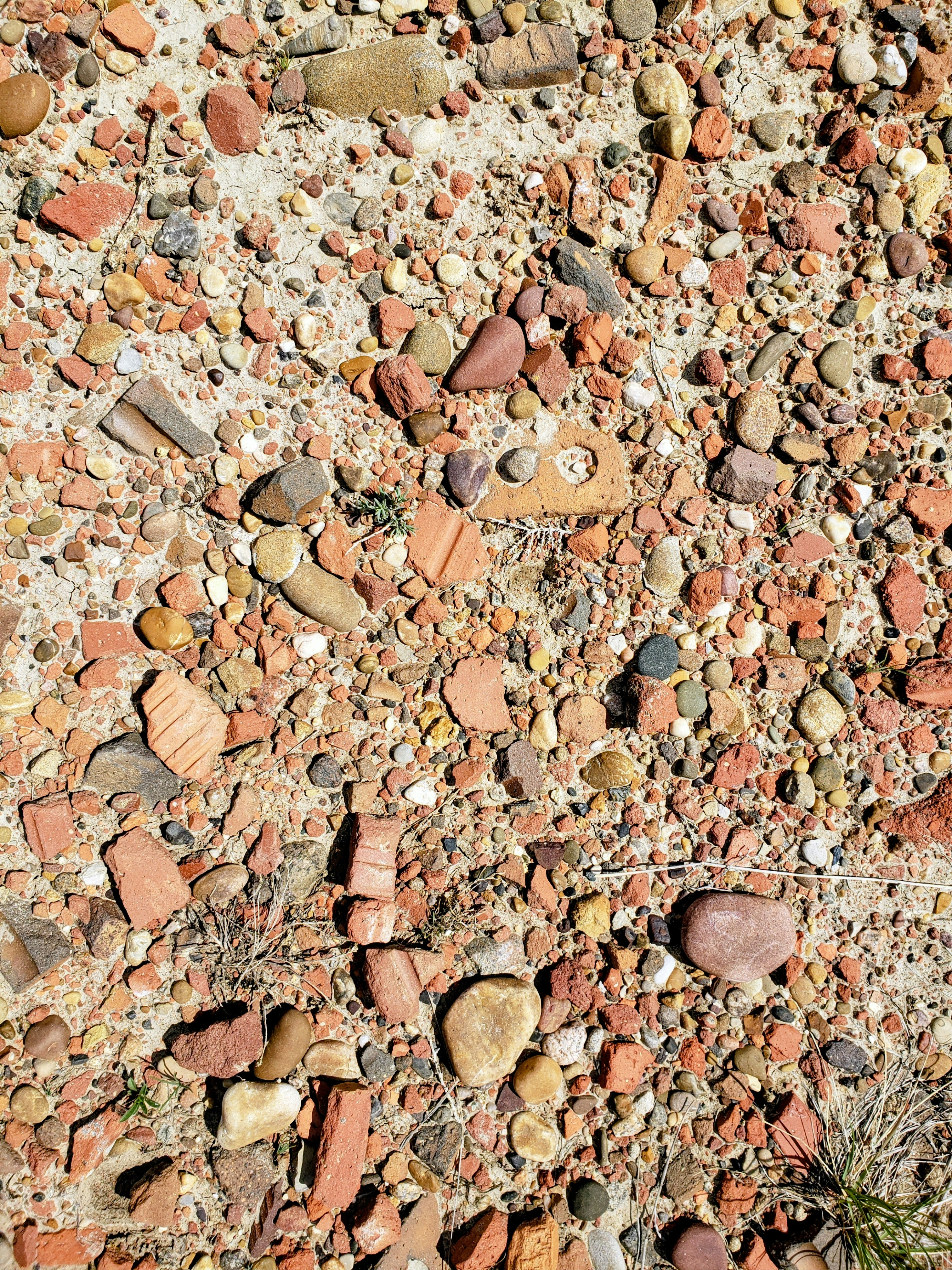 Pebble Mosaic Underfoot: A Sunlit Patchwork of Tiny Stones