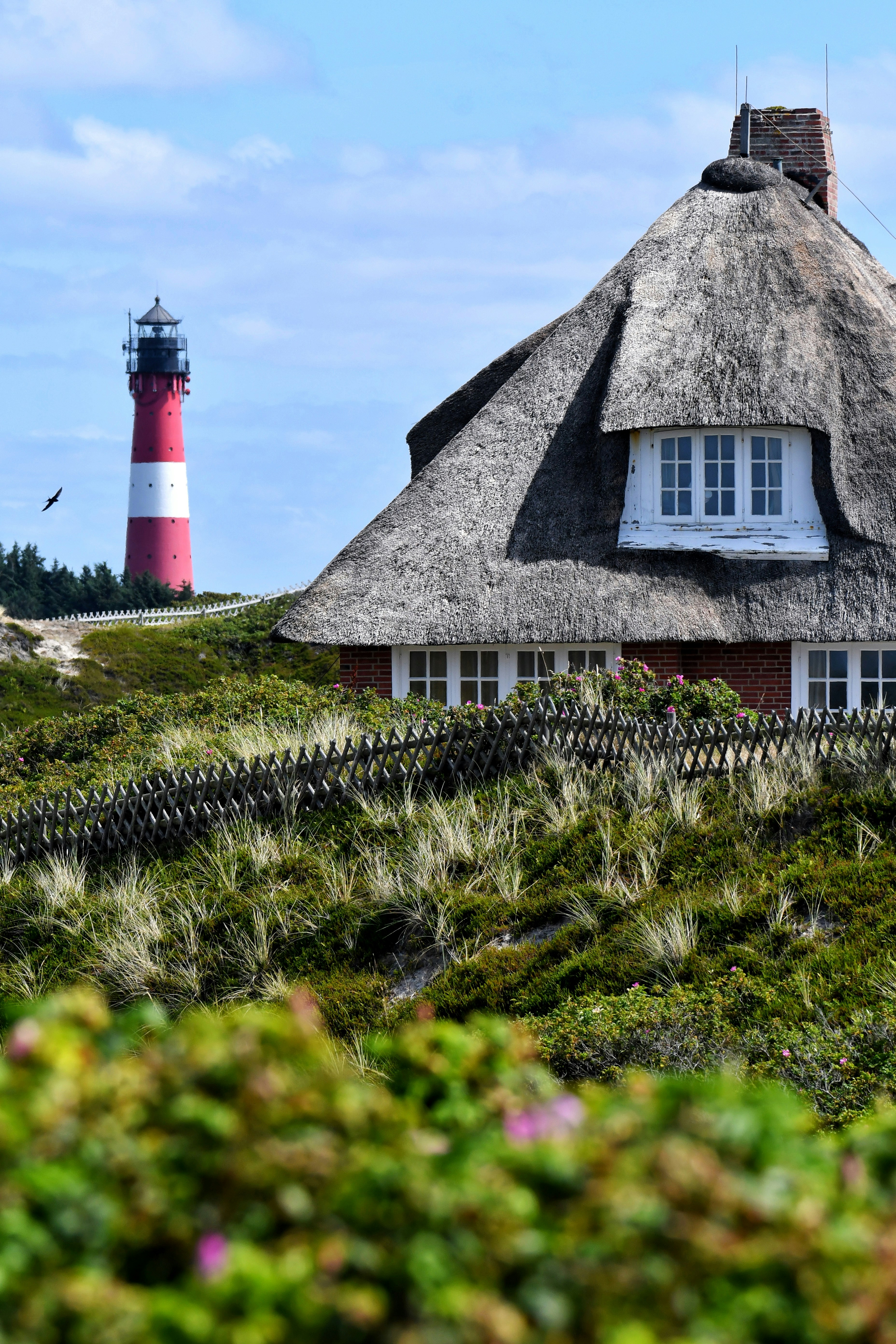 Thatched Cottage with a Distant Lighthouse