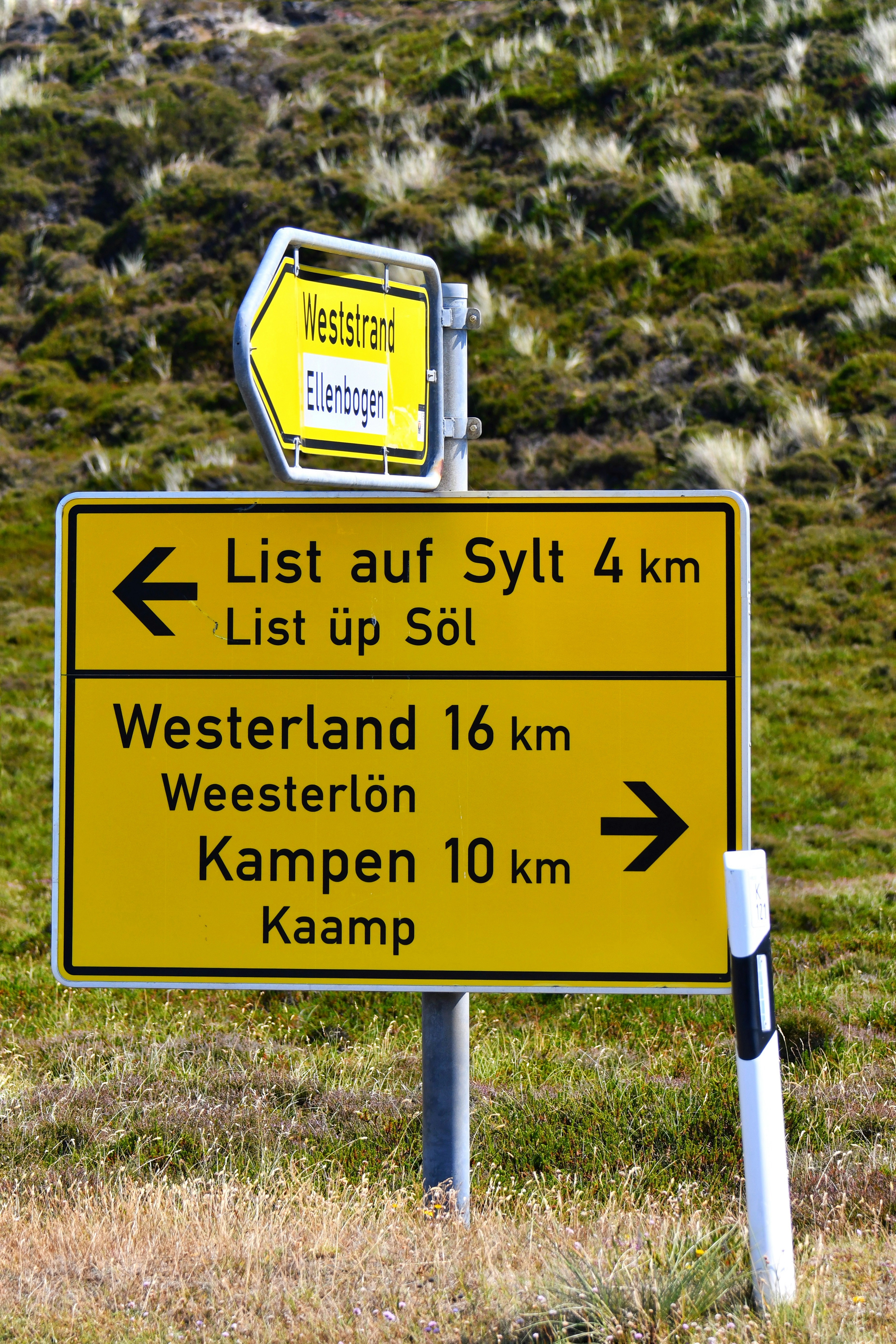 Yellow Wayfinding: A Road Sign Panorama in Open Fields