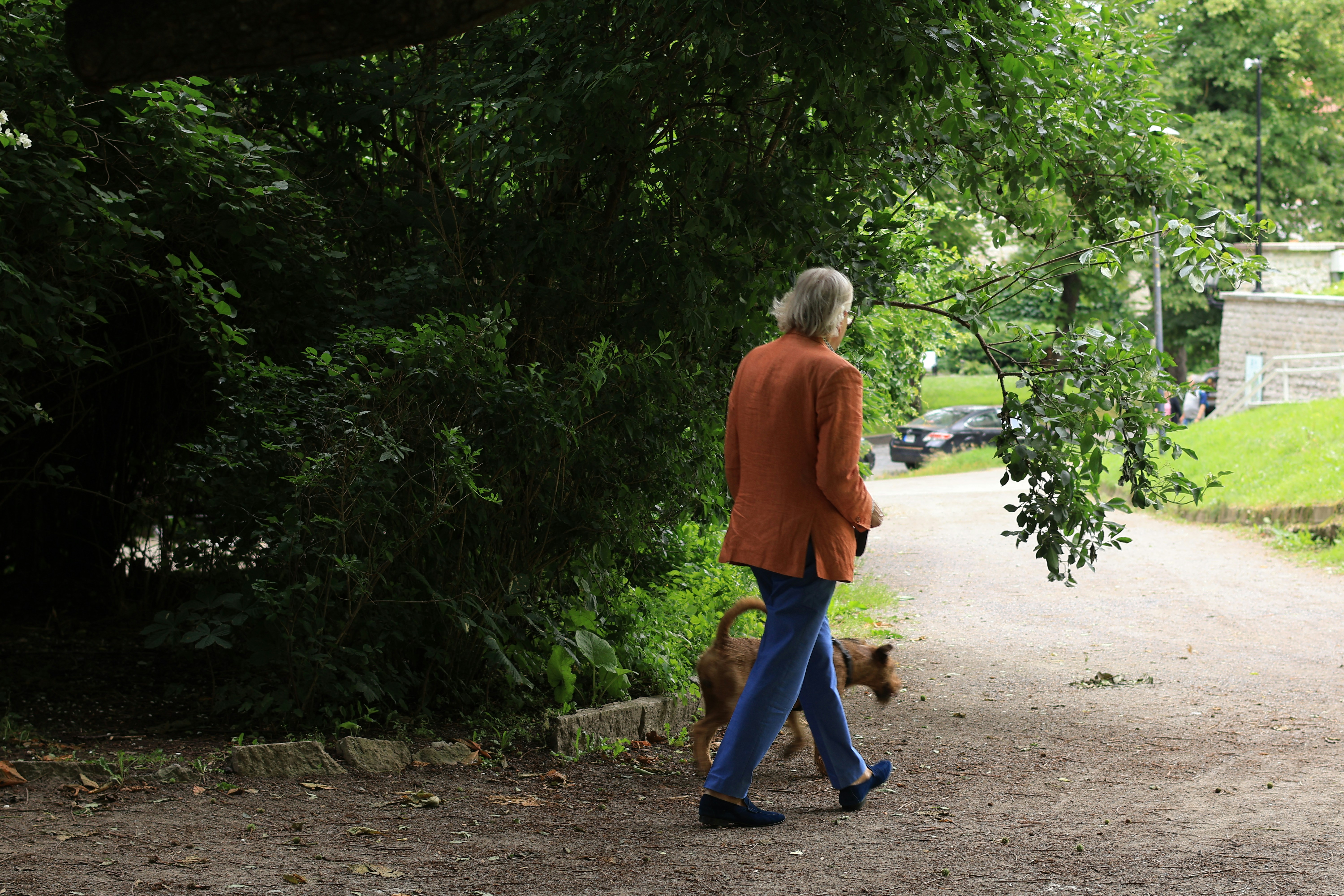 Terracotta Jacket, Blue Jeans, and a Strolling Dog
