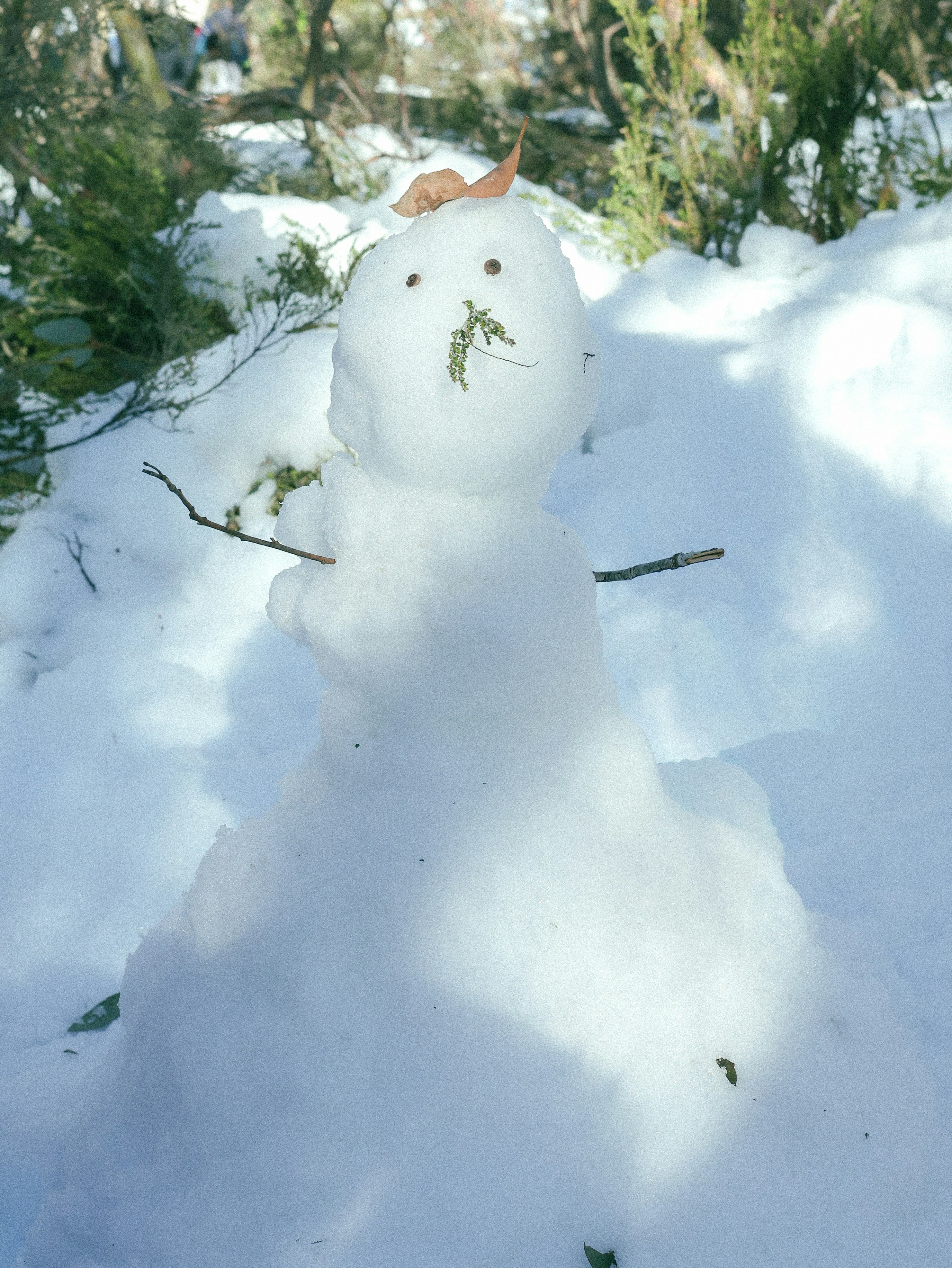 Snowy Snowman with Twig Arms in a Quiet Forest