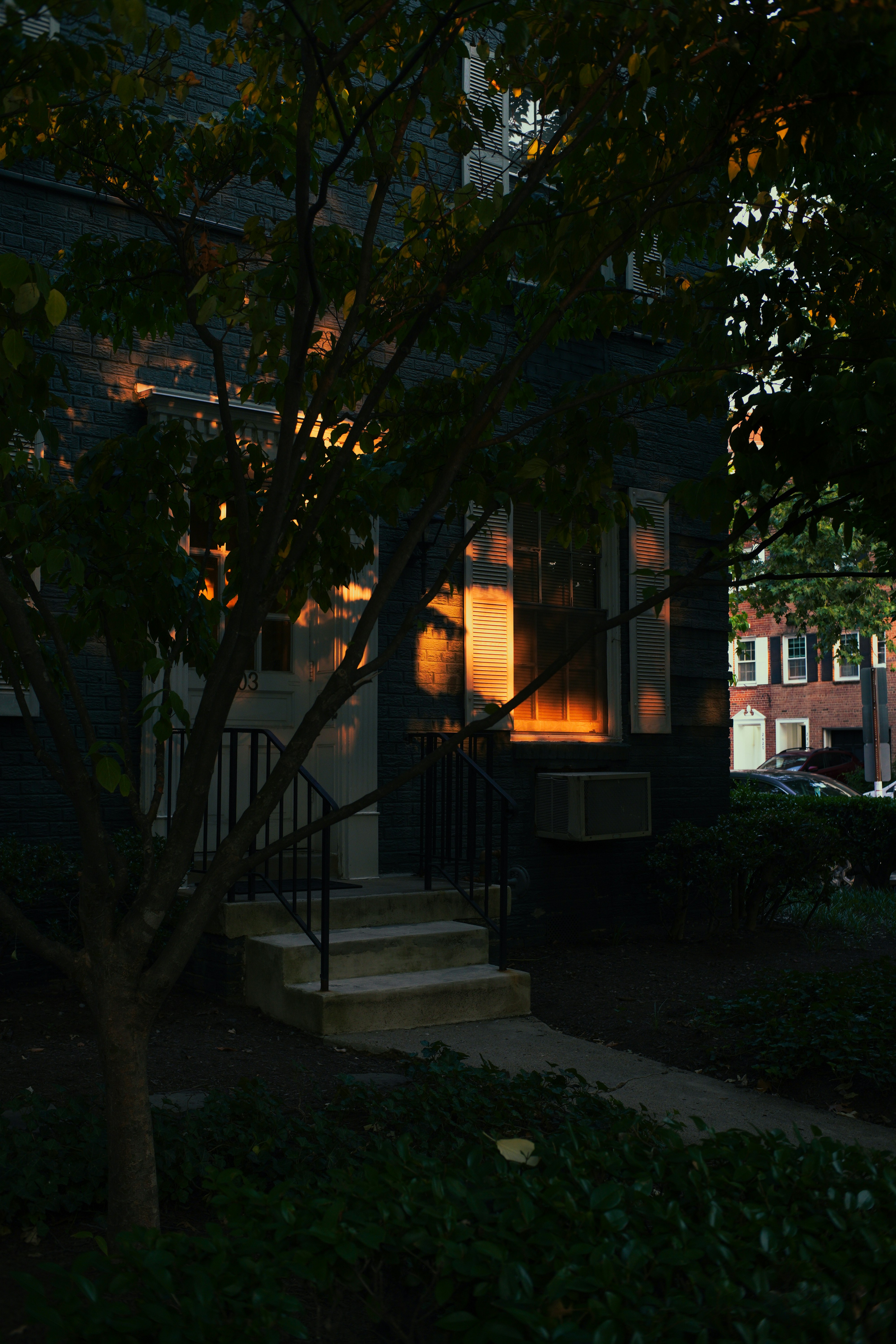 Warm Light on Steps: A Quiet Evening Entrance Framed by Shadowed Foliage