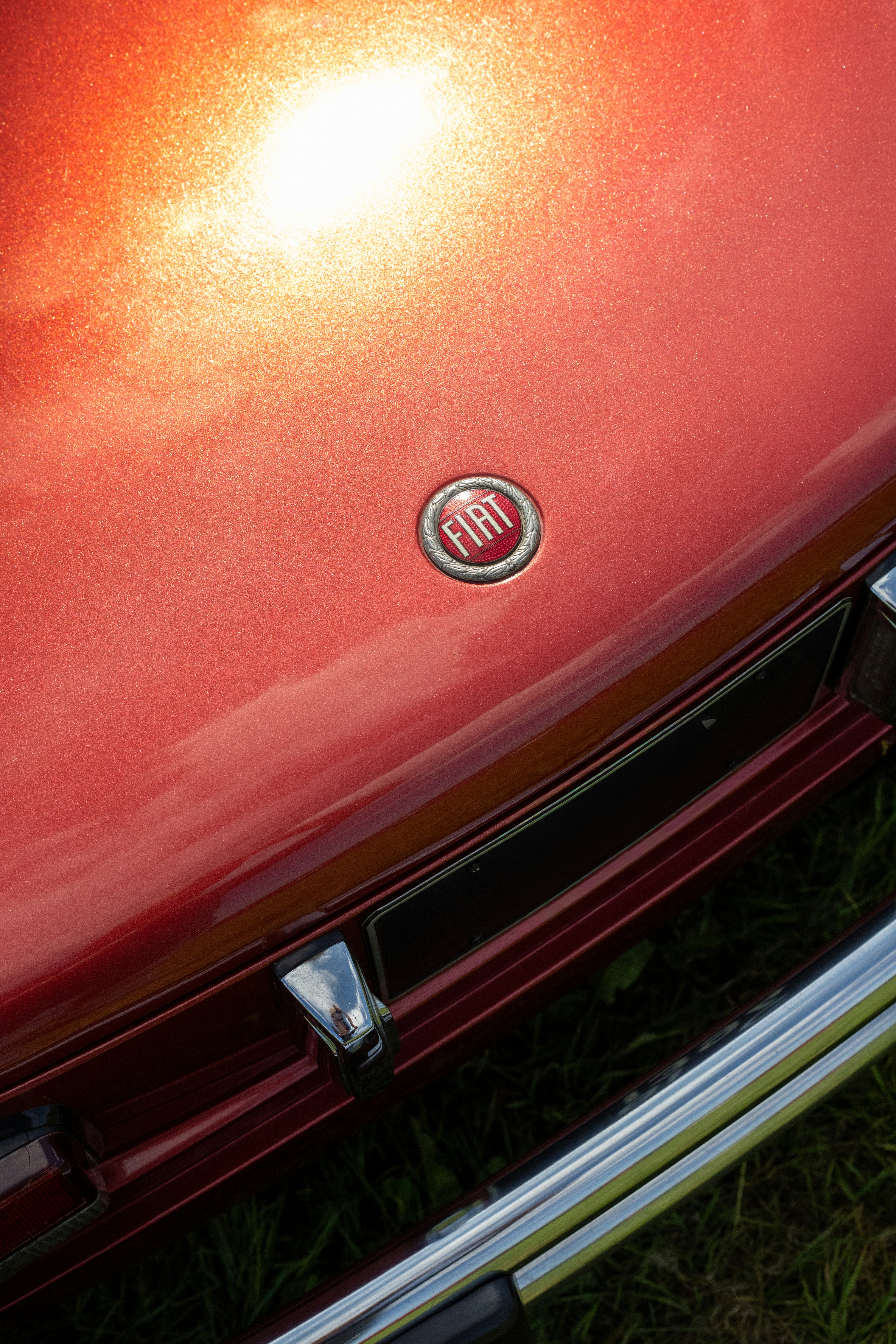 Fiat Emblem Under Orange Gleam: A Classic Hood Study