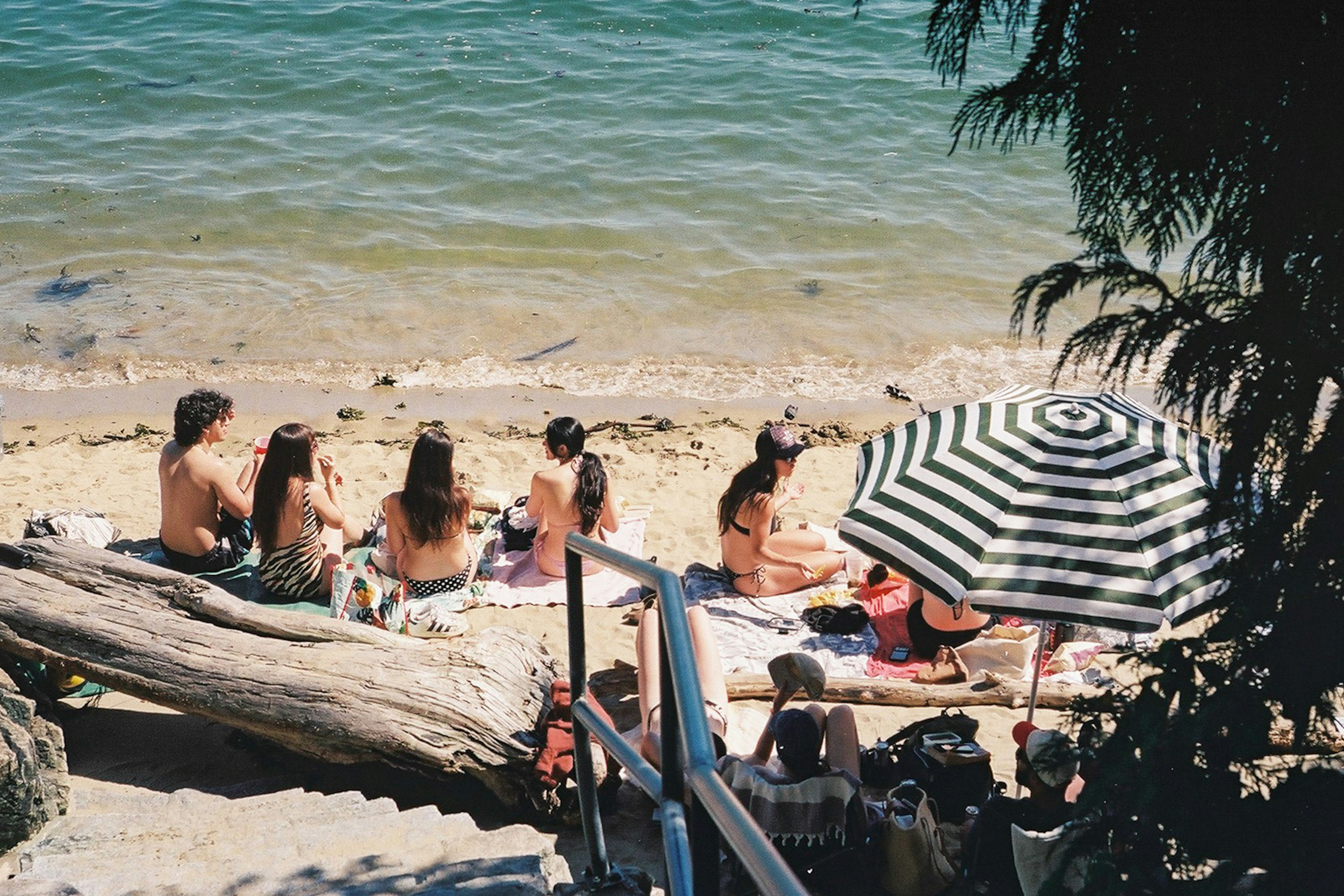 Sunlit Beach Portrait: A Crowd of Beachgoers Gather on Logs by the Shore