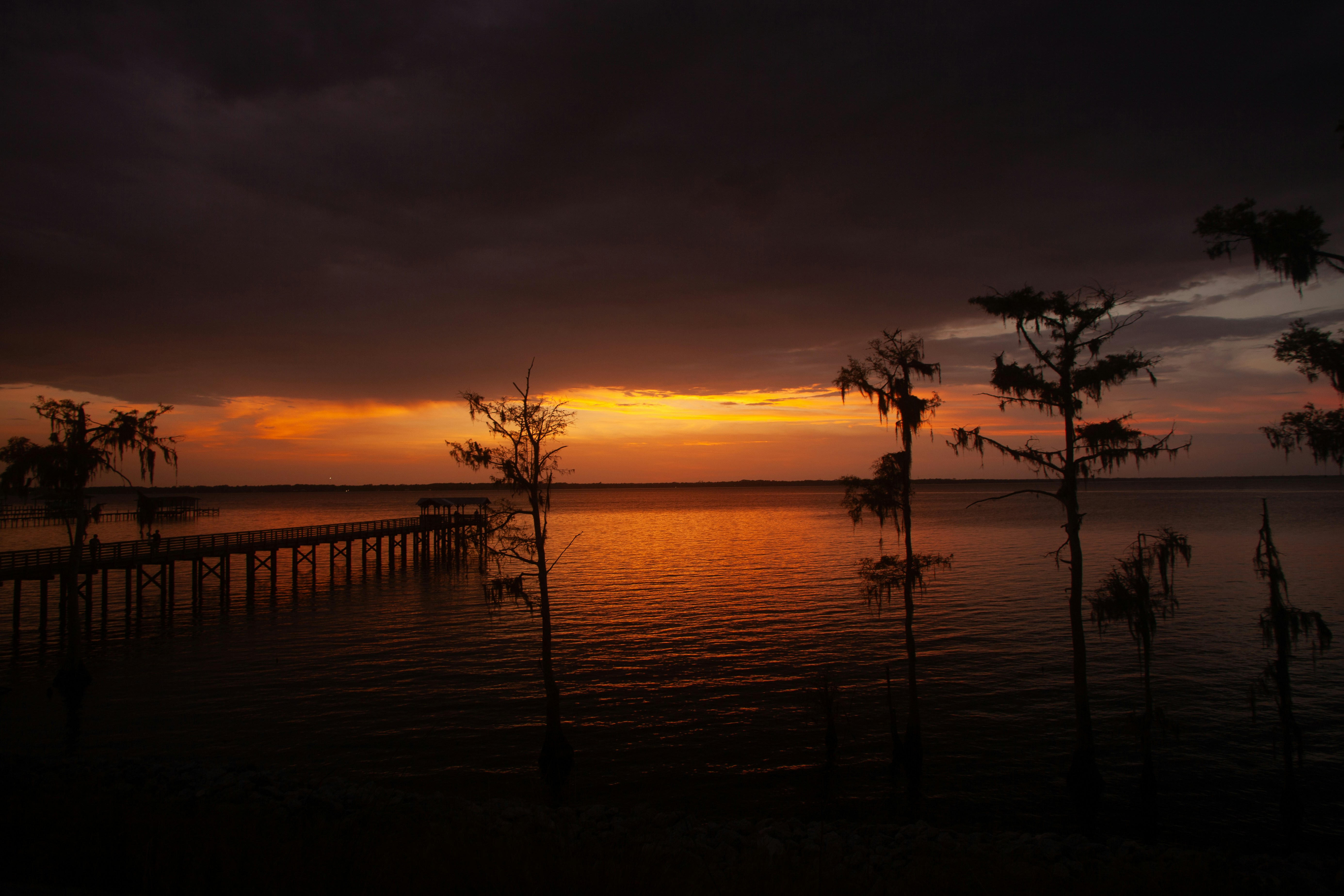 Silhouetted Trees and Golden Horizon Over Quiet Water