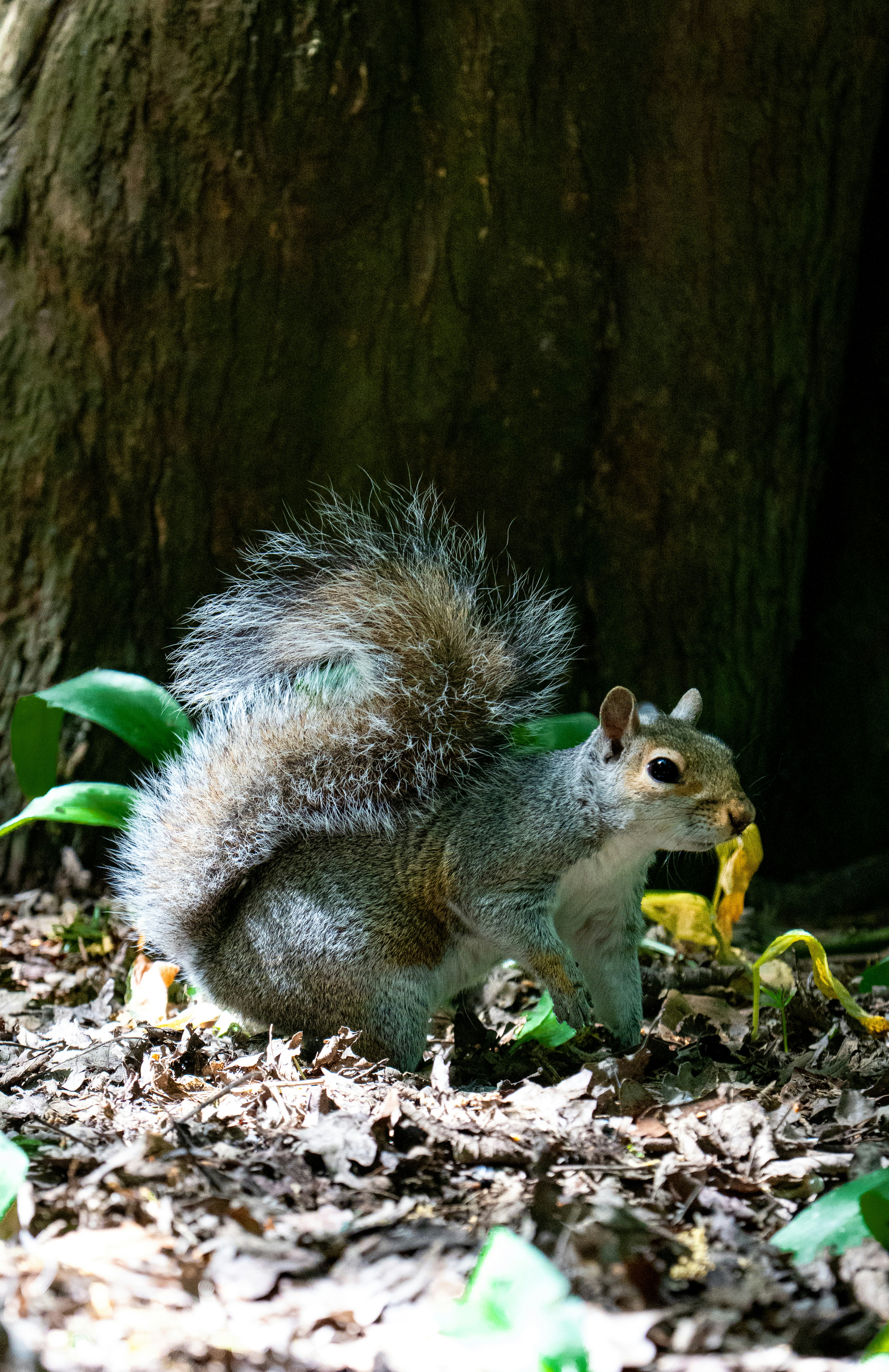 Photo by martin lea with Sony Alpha 6700