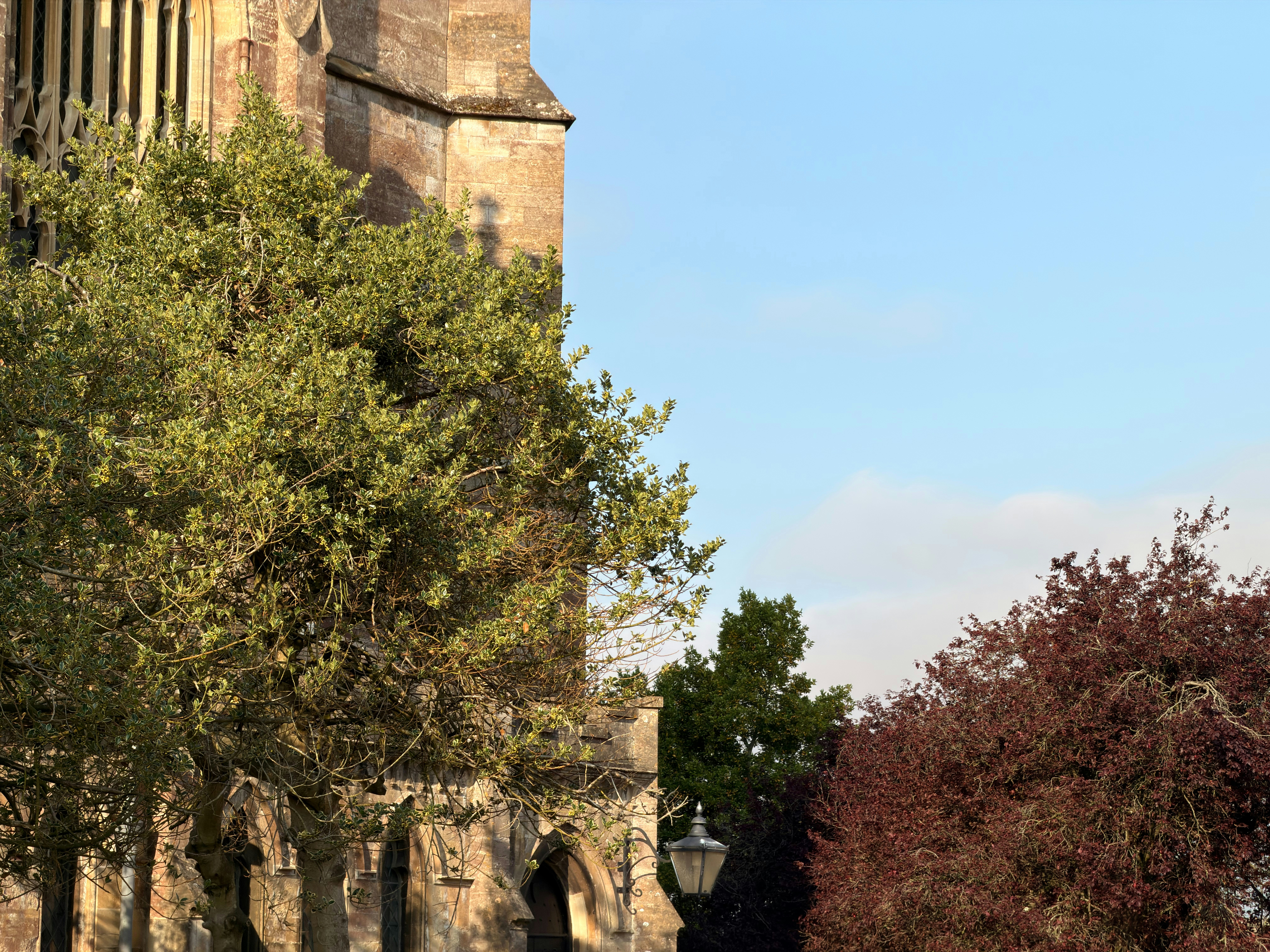 Stone Architecture Framed by Spring Foliage