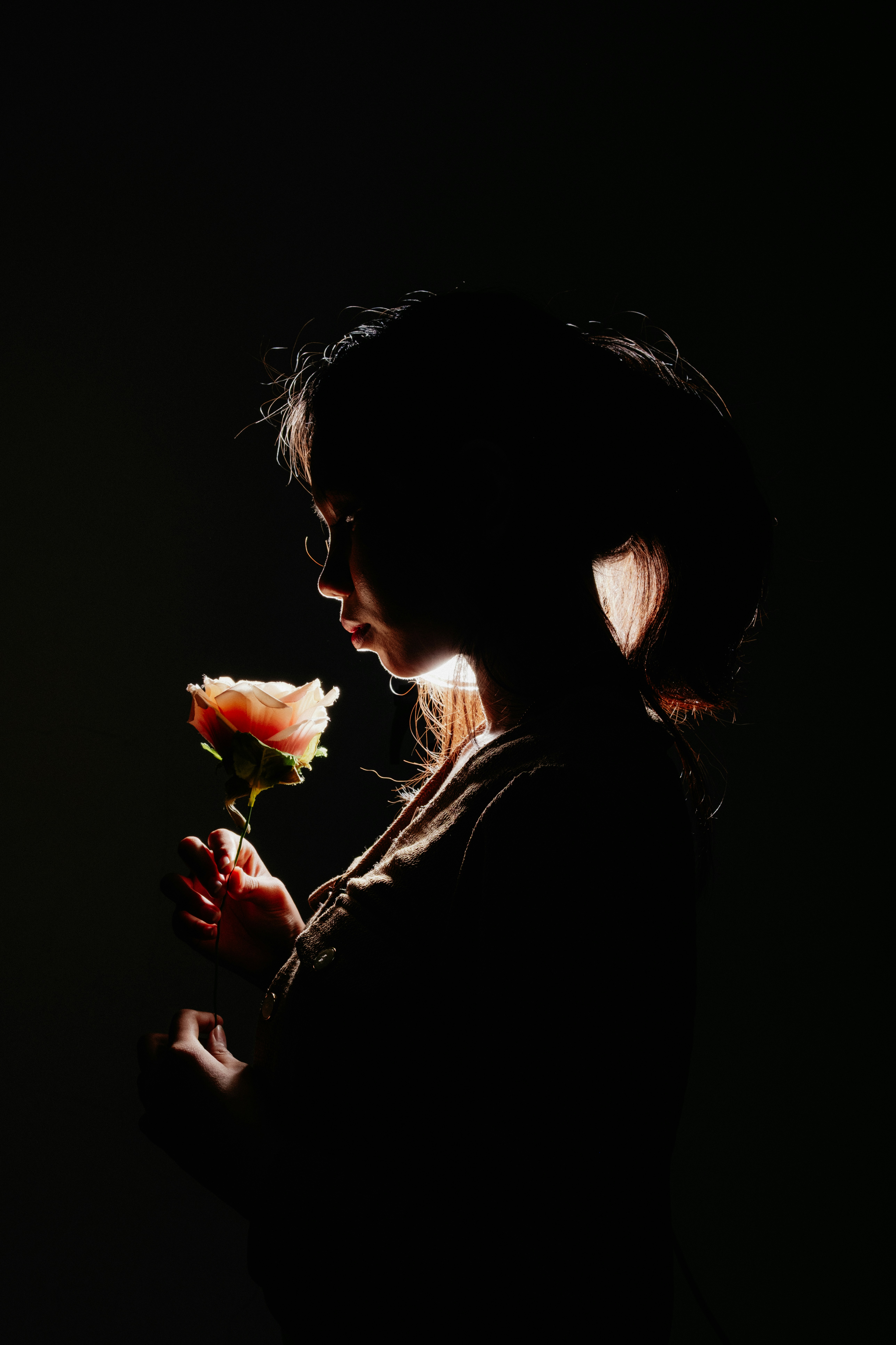 Silhouette Bloom: A Quiet Moment with a Rose