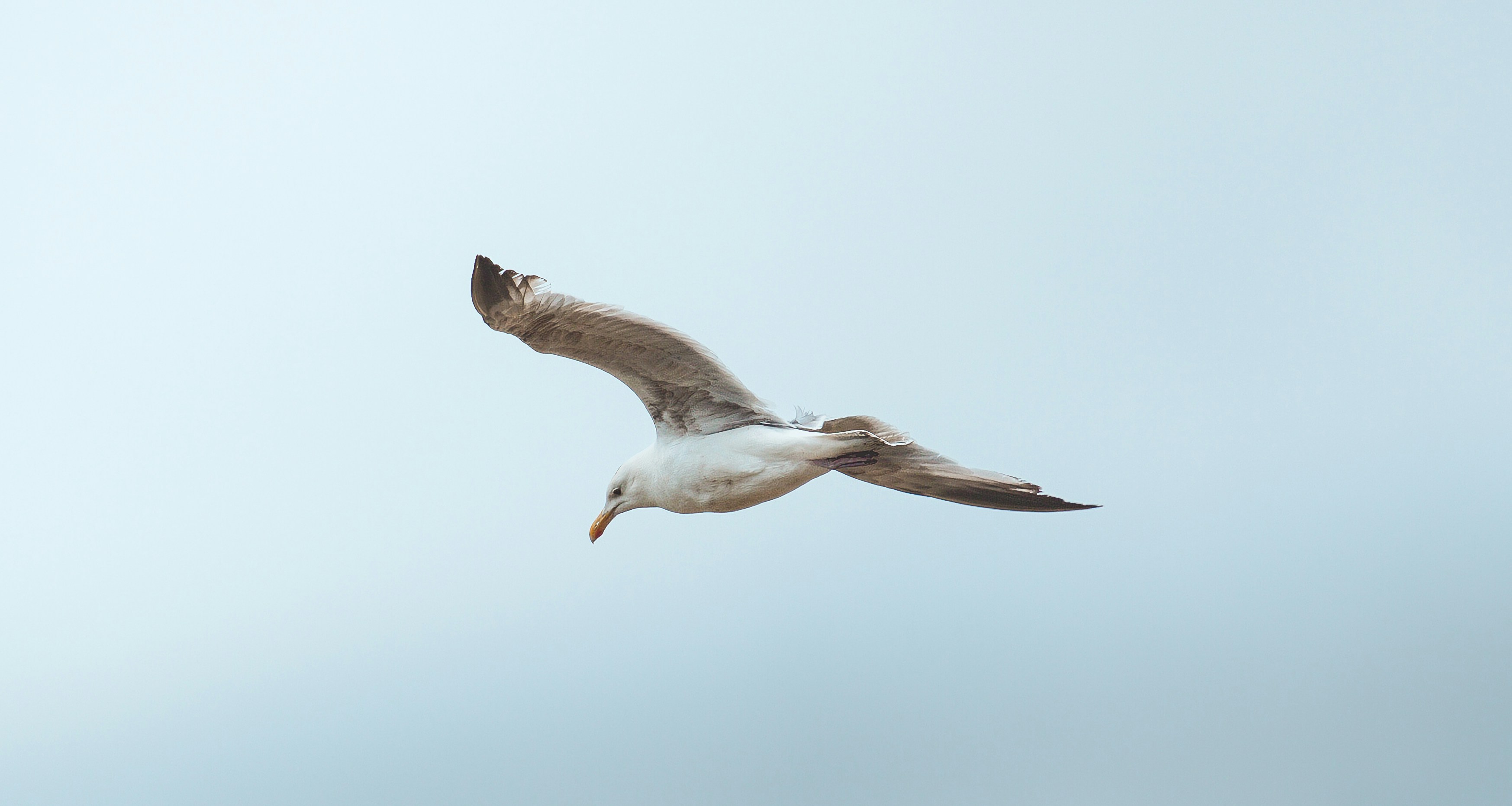 Photo by Vitus Bever with Canon EOS 5D Mark II