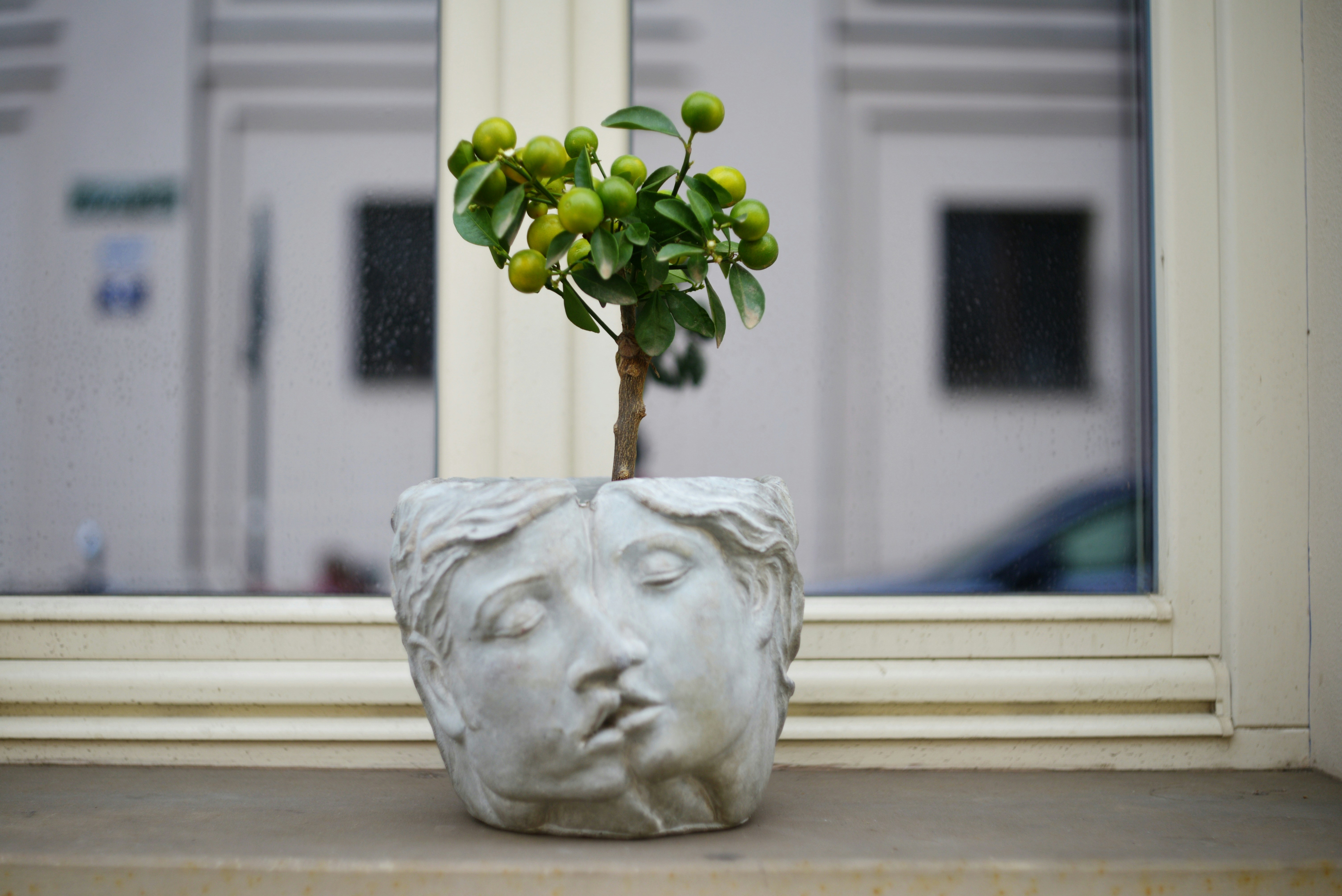 Whispering Faces in a Concrete Jar