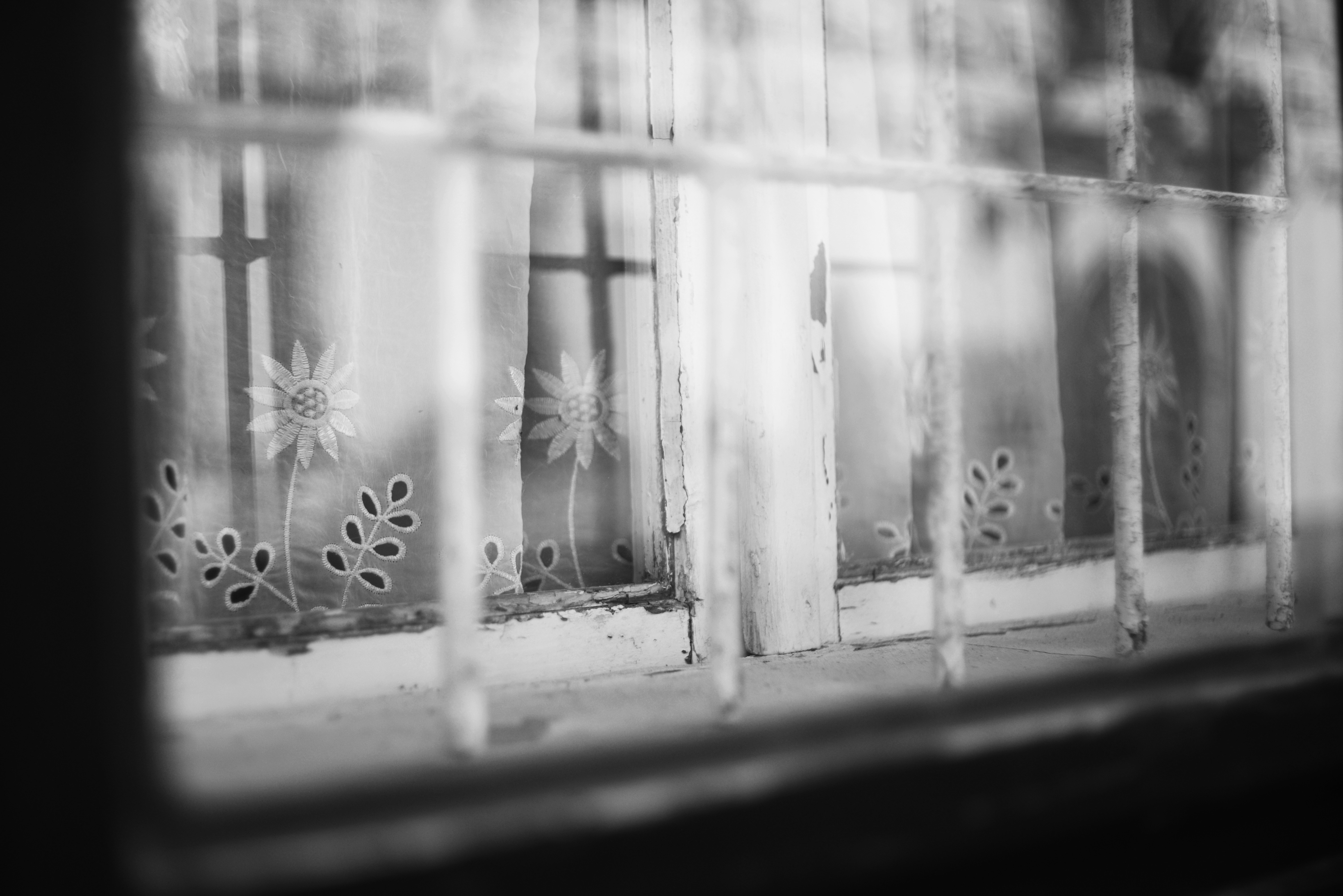 Ghosted Grille: A Worn Window with Floral Frosting
