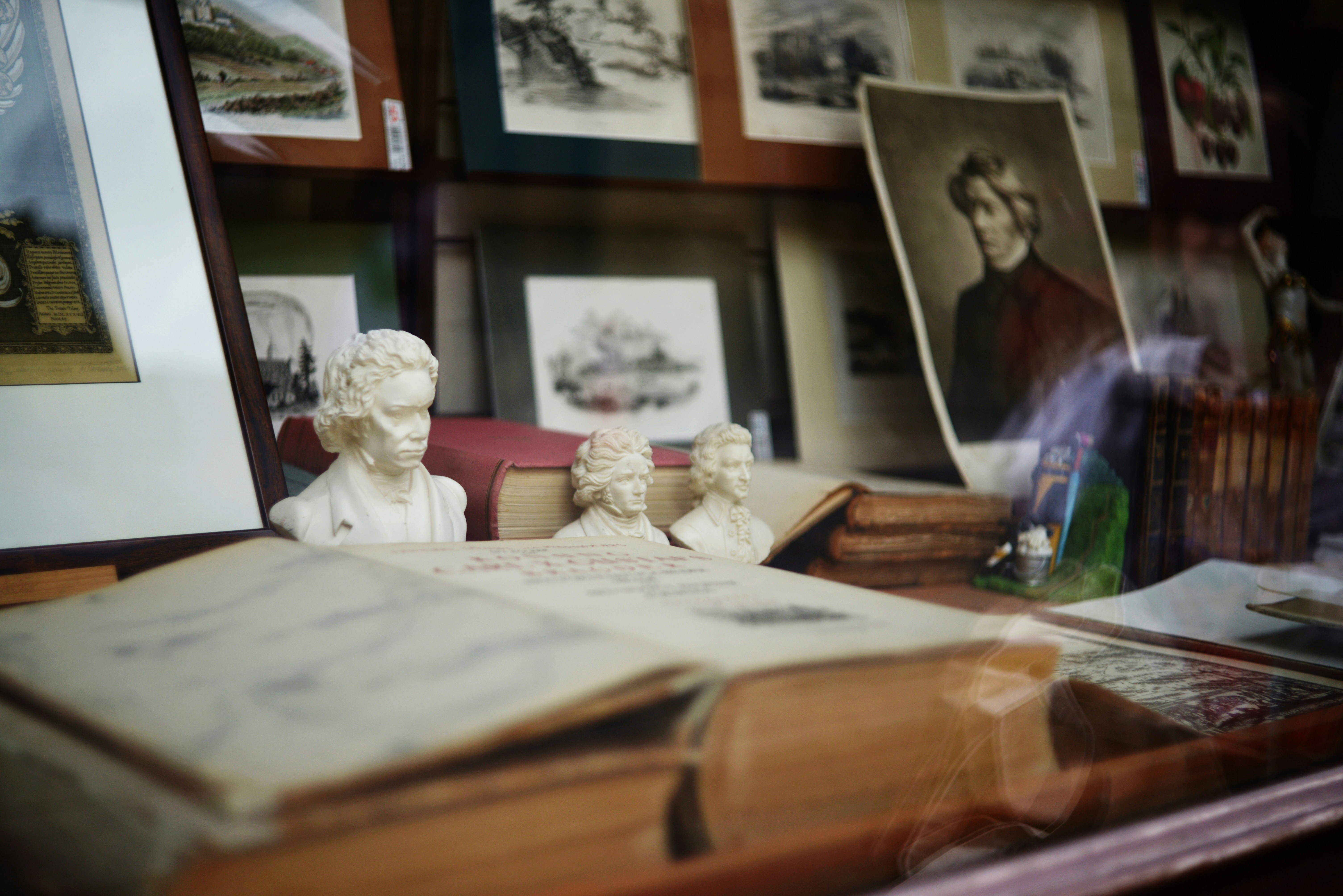 Dusty Heritage: A Quiet Shelf of Portraits and Busts