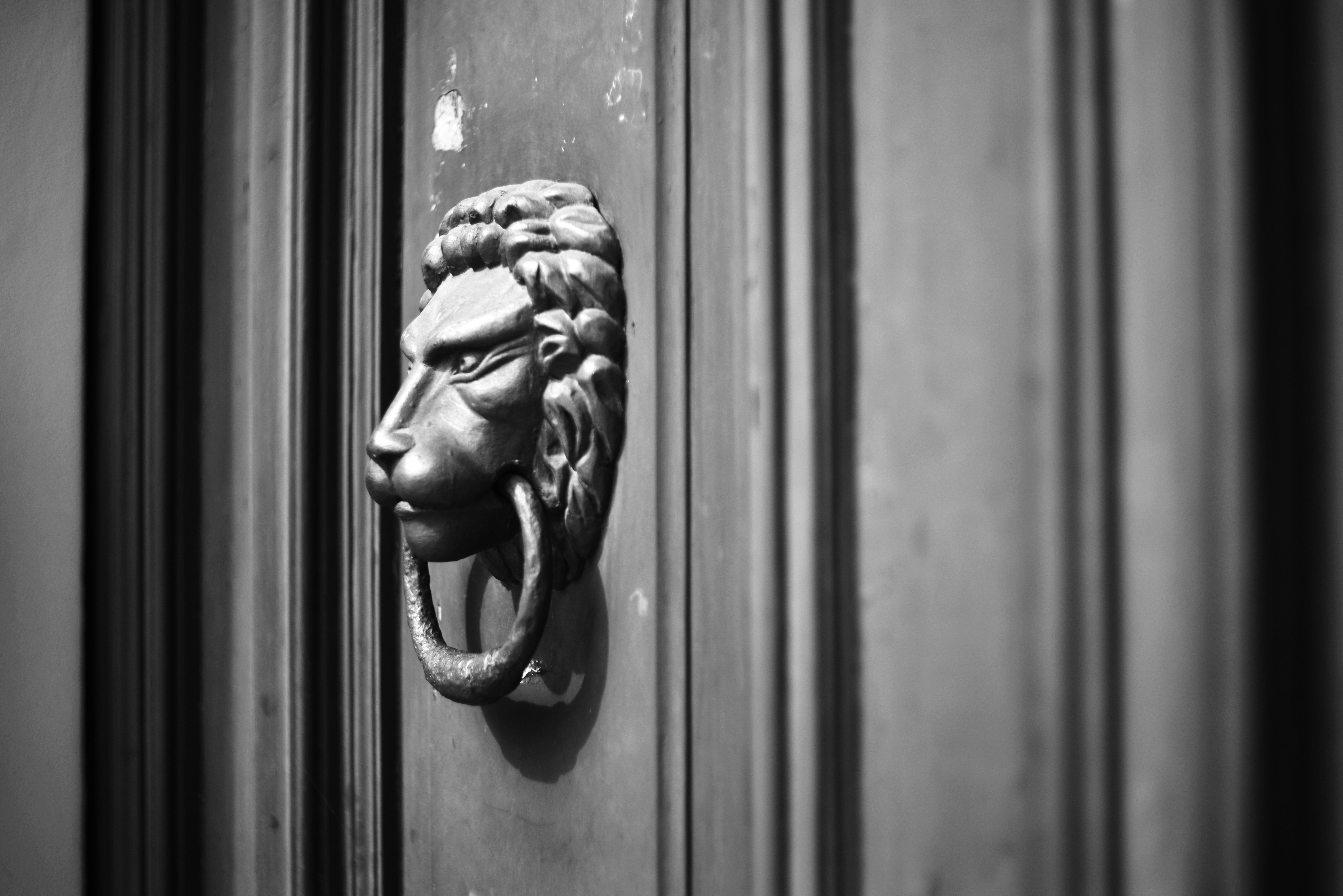 Ornate lion head door knocker on a wooden door.