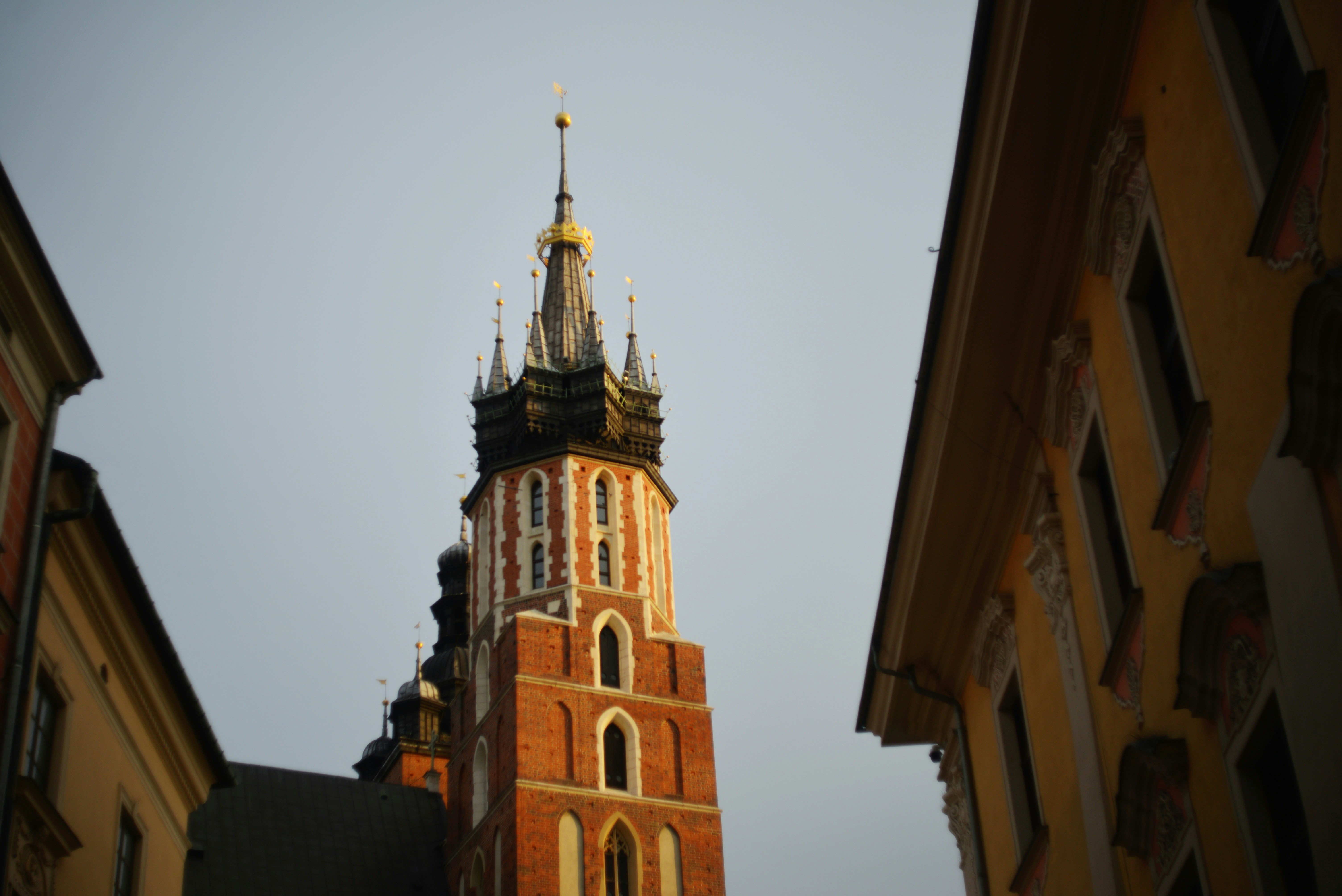 Clocktower Symphony: A Narrow Alley Framing a Gothic Spire