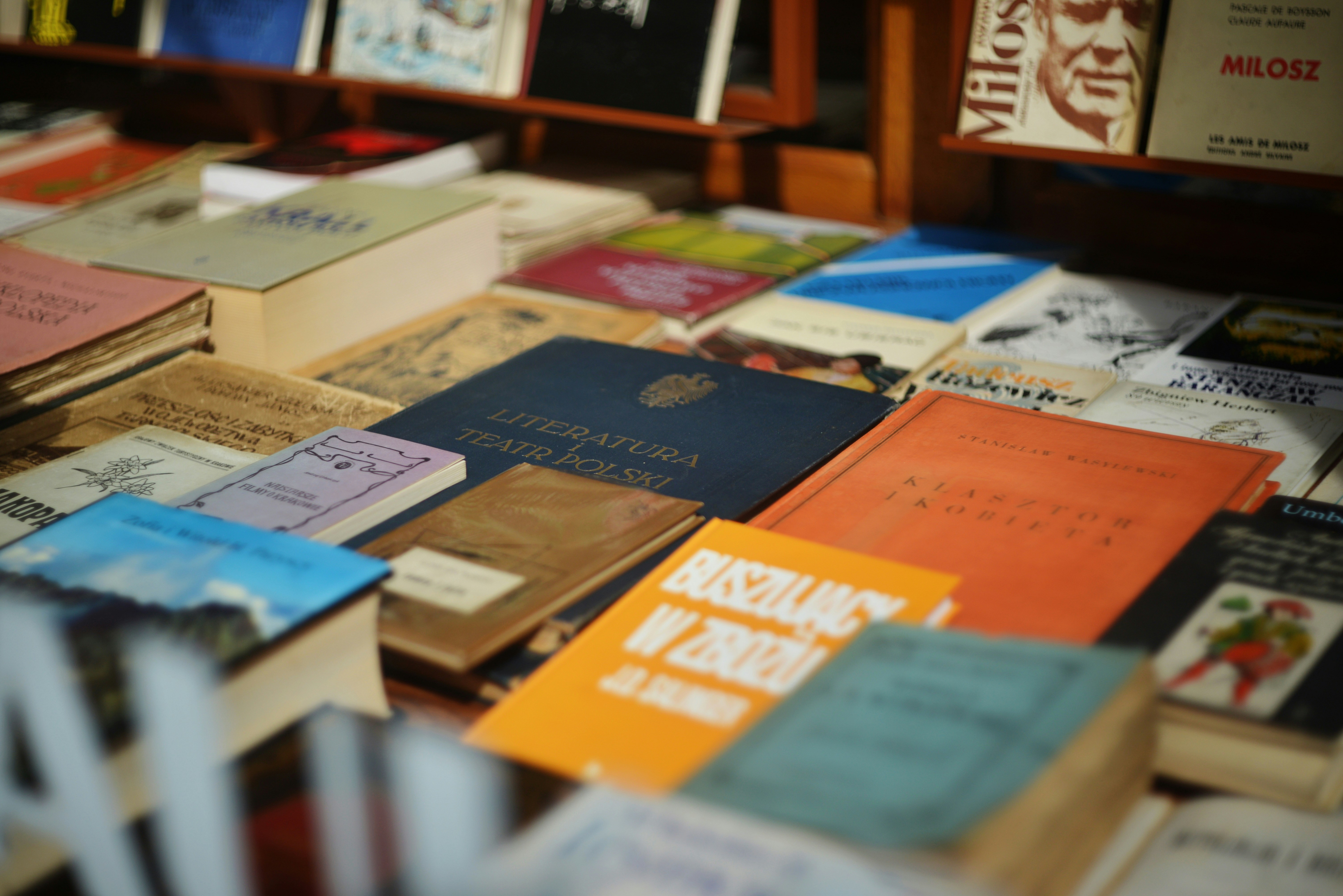 A Quiet Stack of World Pages: Colorful Book Covers in a Vintage Bookshelf