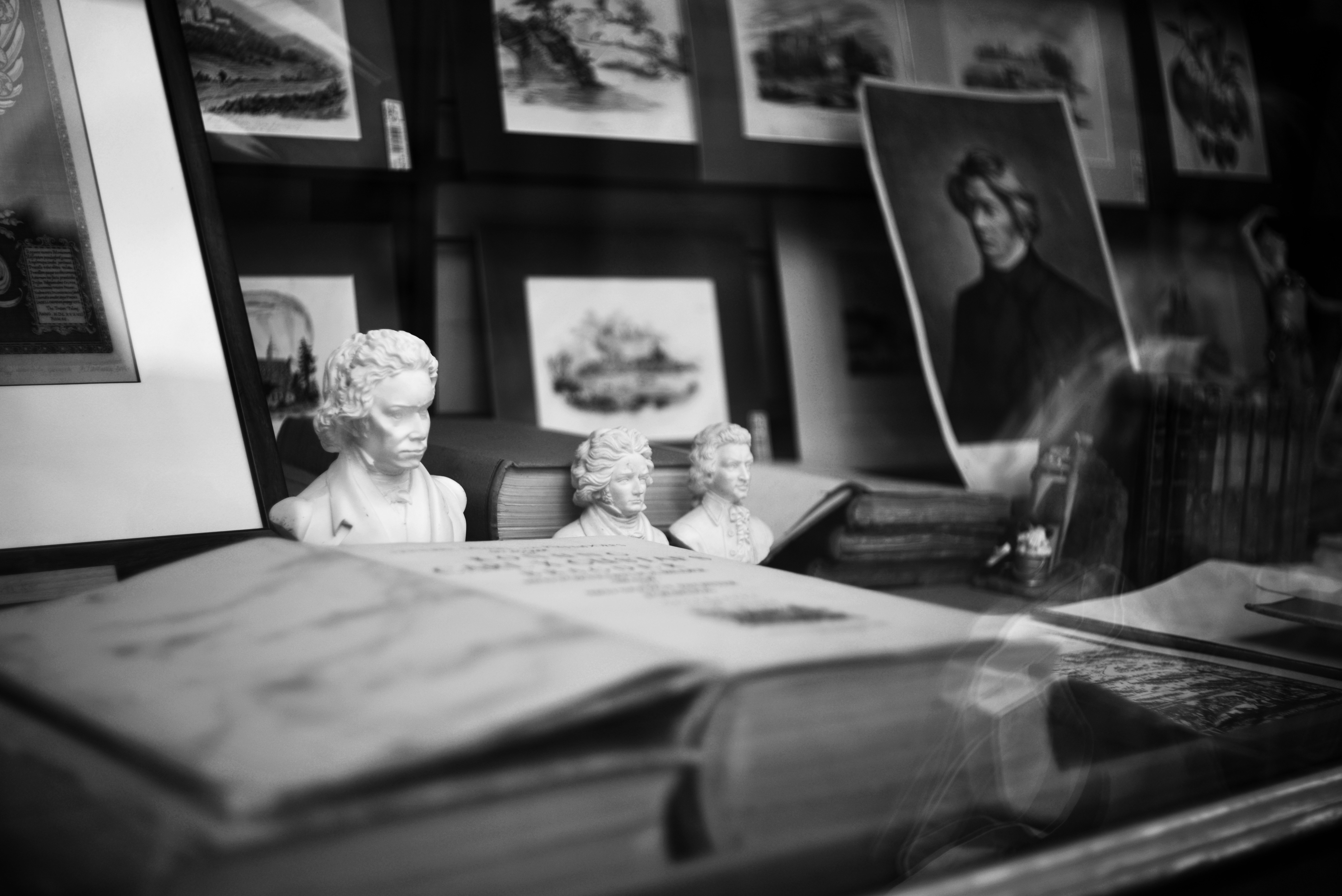 Whispers of Portraits and Busts on a Quiet Study Shelf