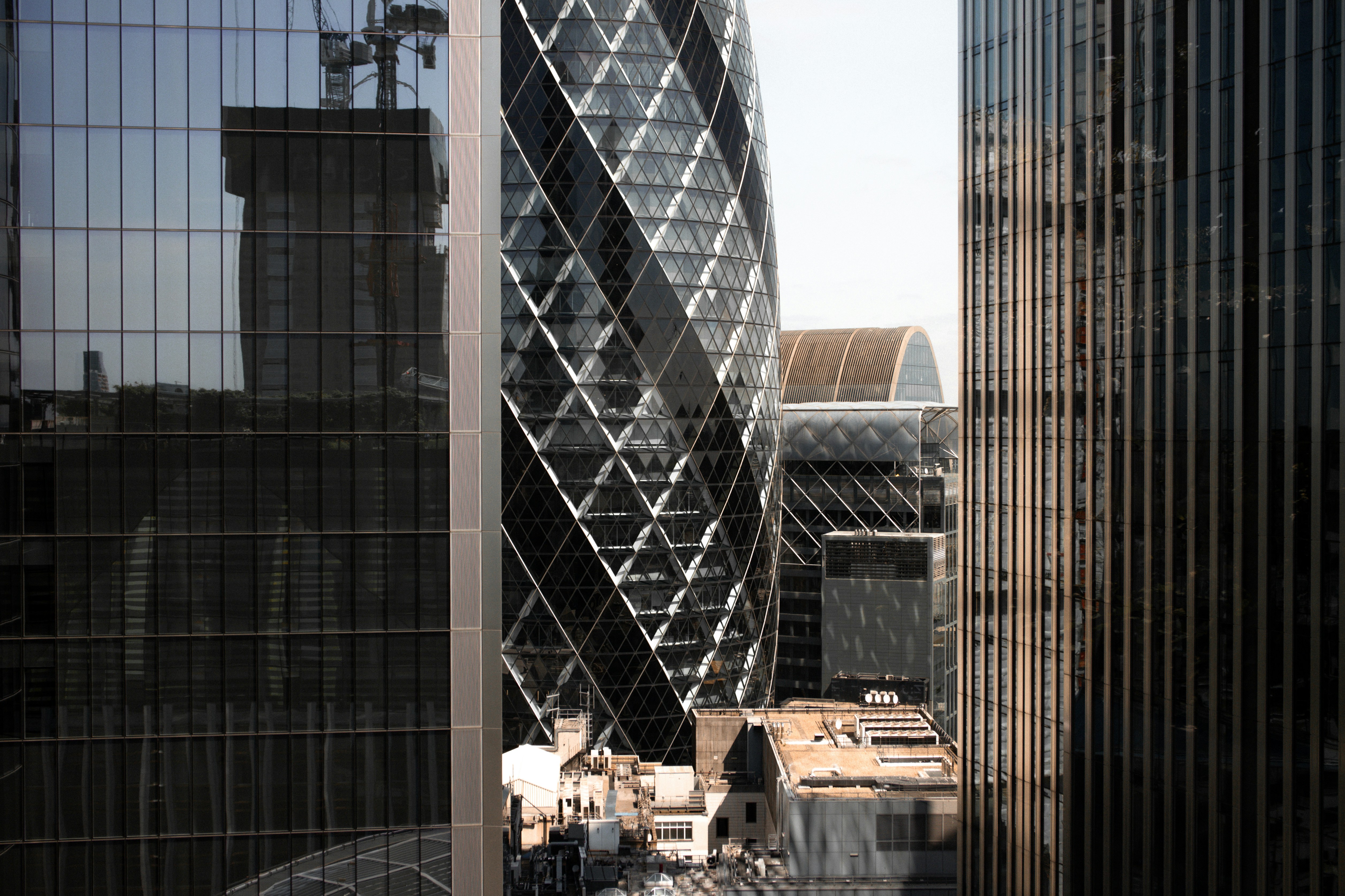 Cobalt Grids: Morning Light Between Glass Giants