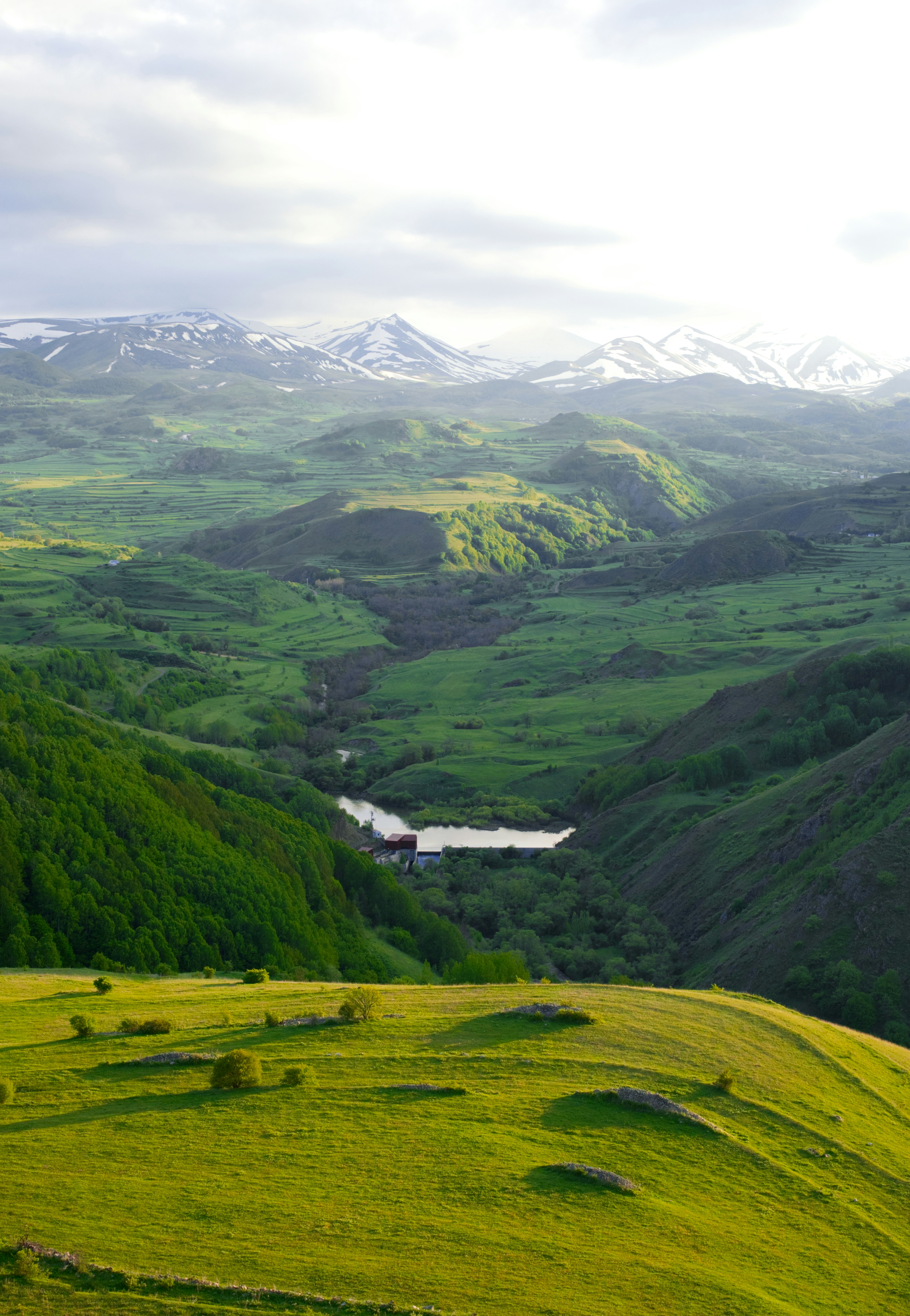 Valley Coil: A Quiet Cadence Between Snow and Green