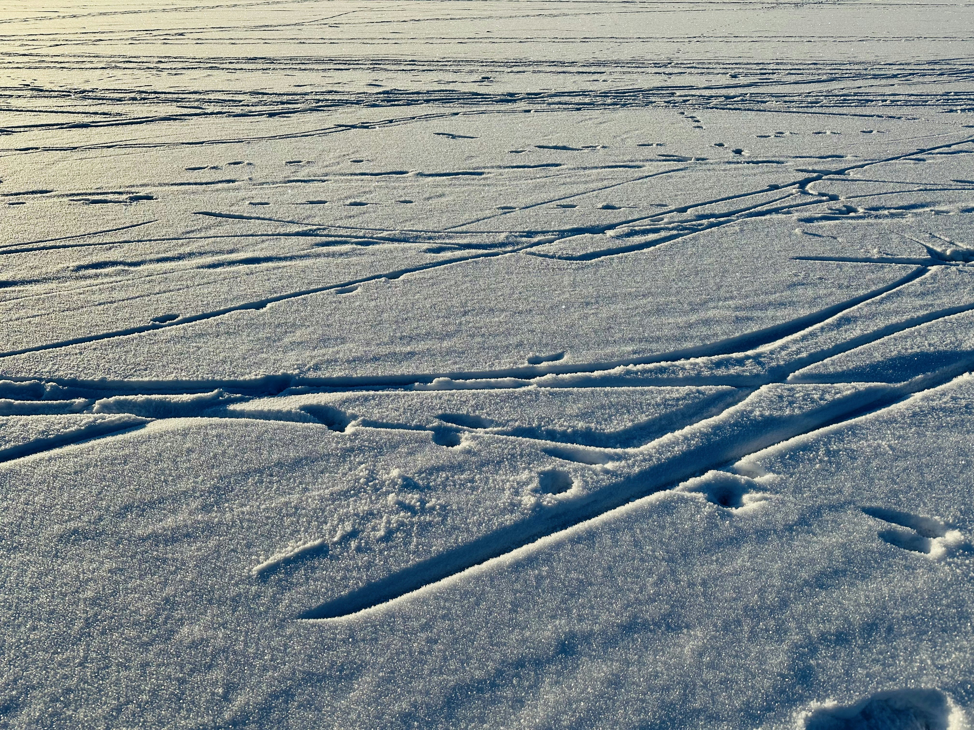 Ribboned Tracks in a Quiet Snowfield